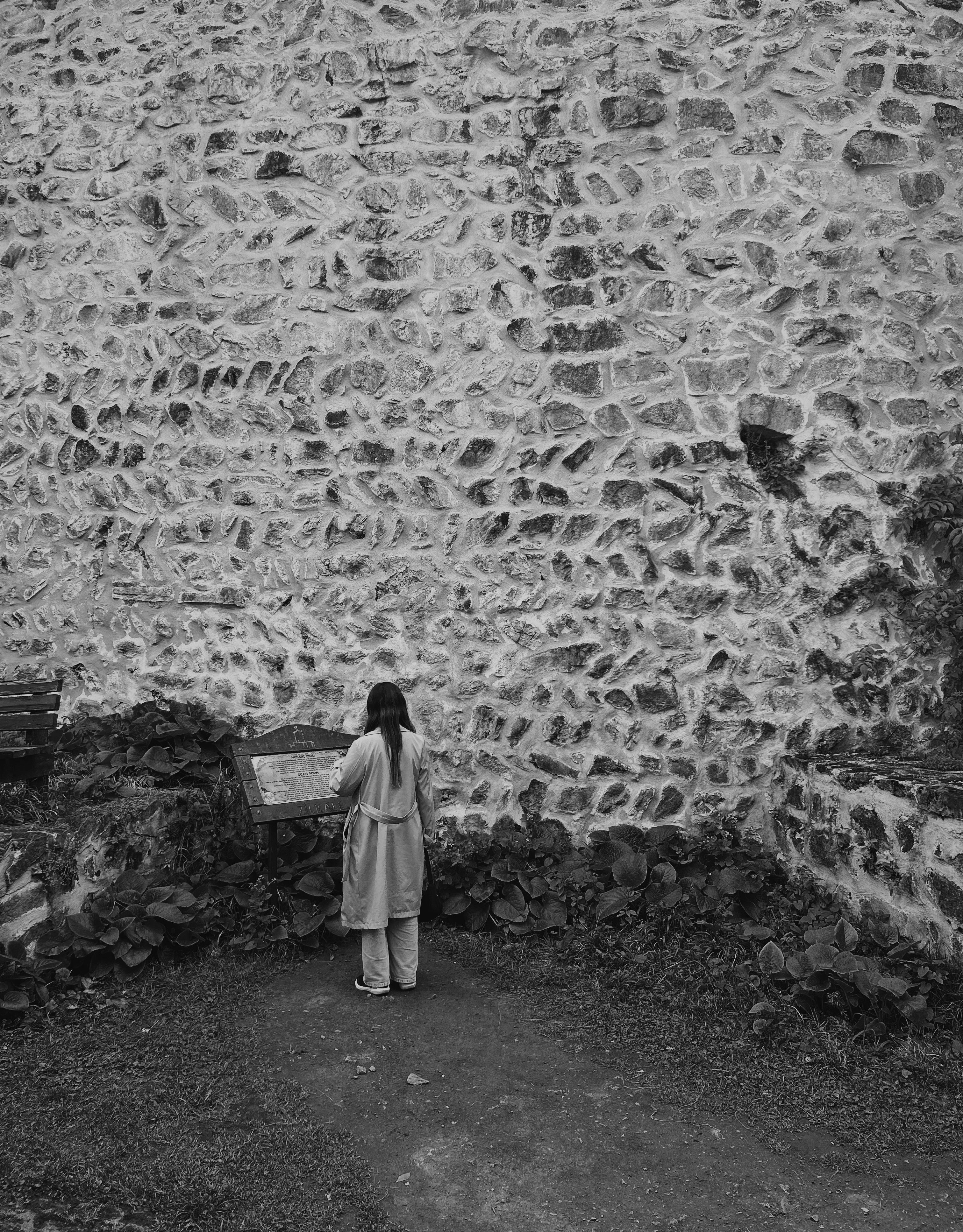 Brunette Woman in Coat Reading Sign in Front of Wall · Free Stock Photo