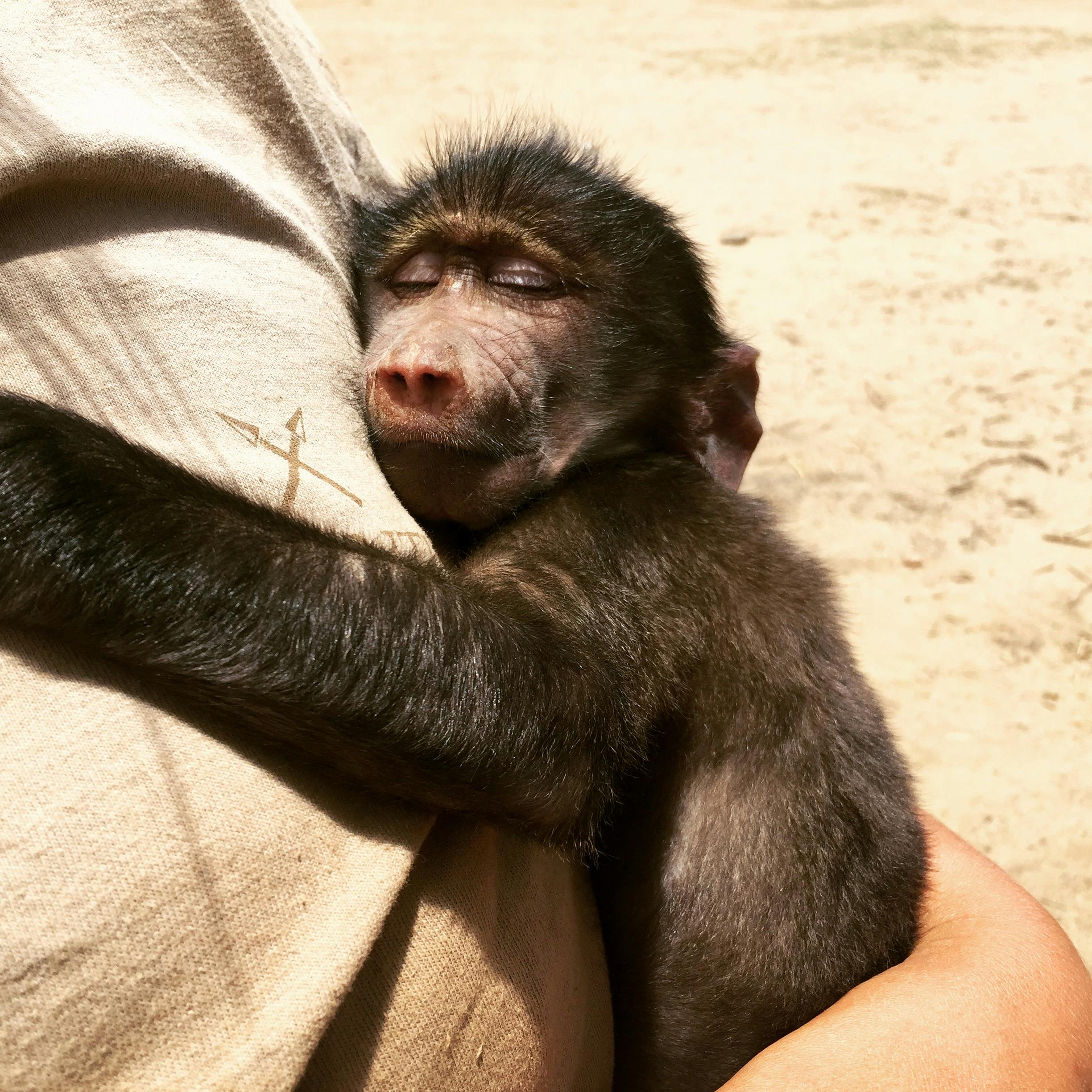 Catherine Harding Wiltshire - Photography