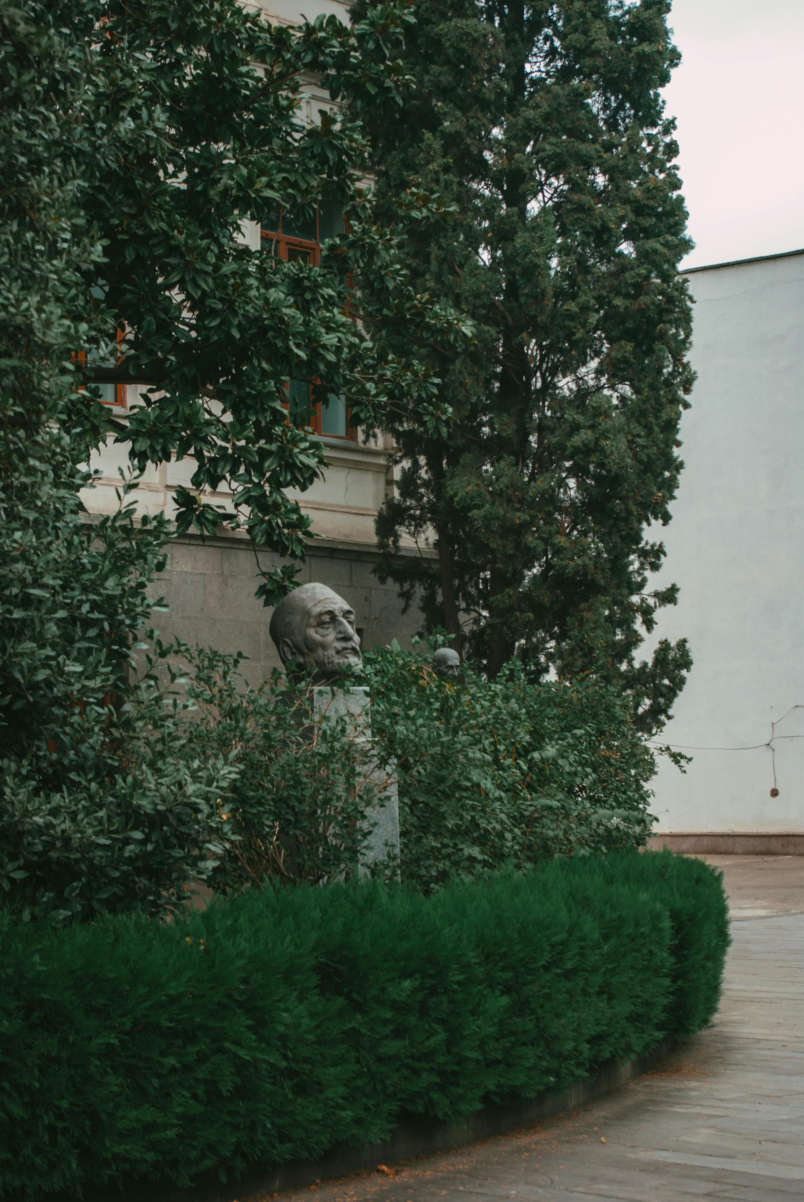 Emoji Flow Statue Photos, Download The BEST Free Emoji Flow Statue ...