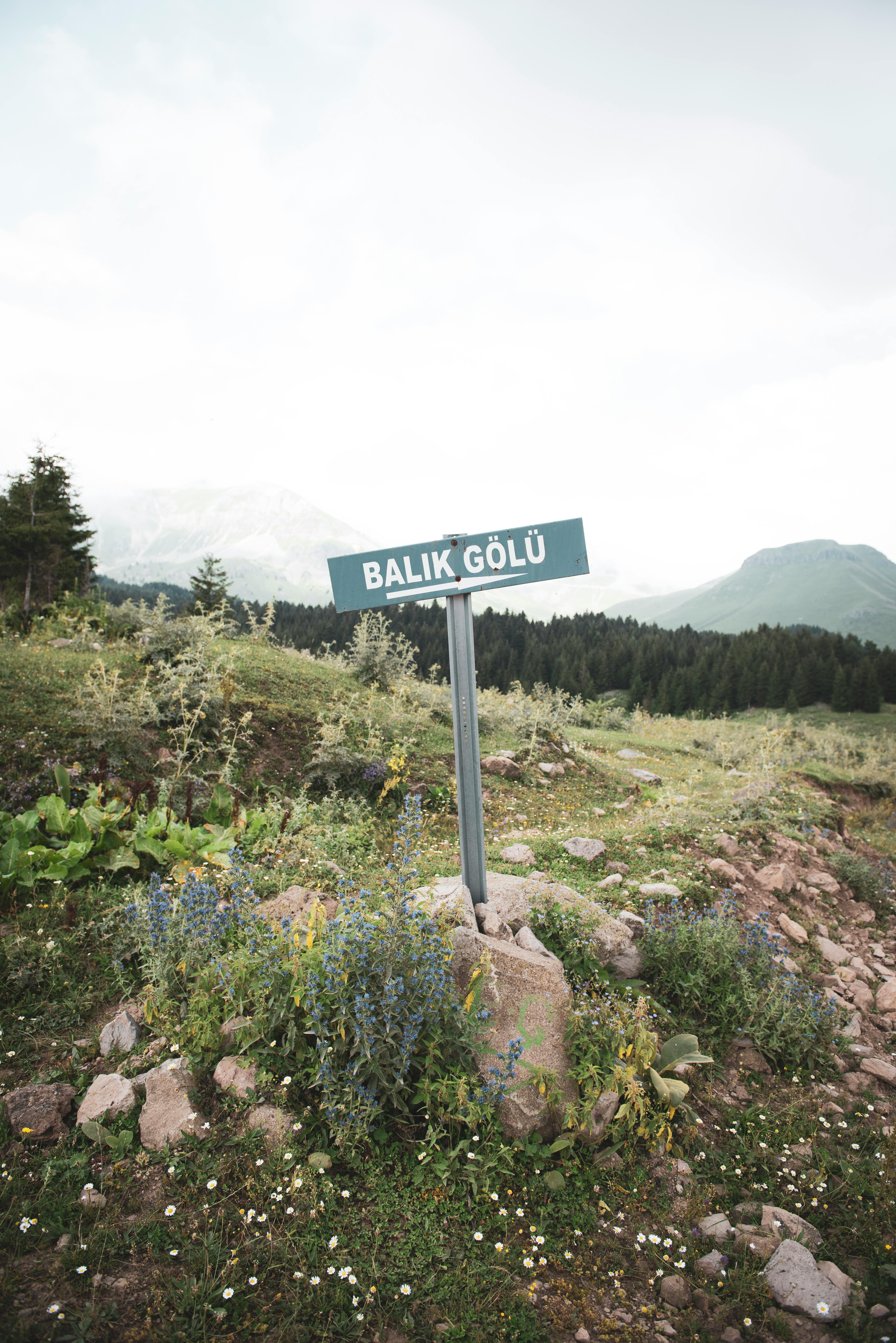 Melhores imagens de Balik และตึกอิฐอะไร · Download 100% grátis · Fotos ...