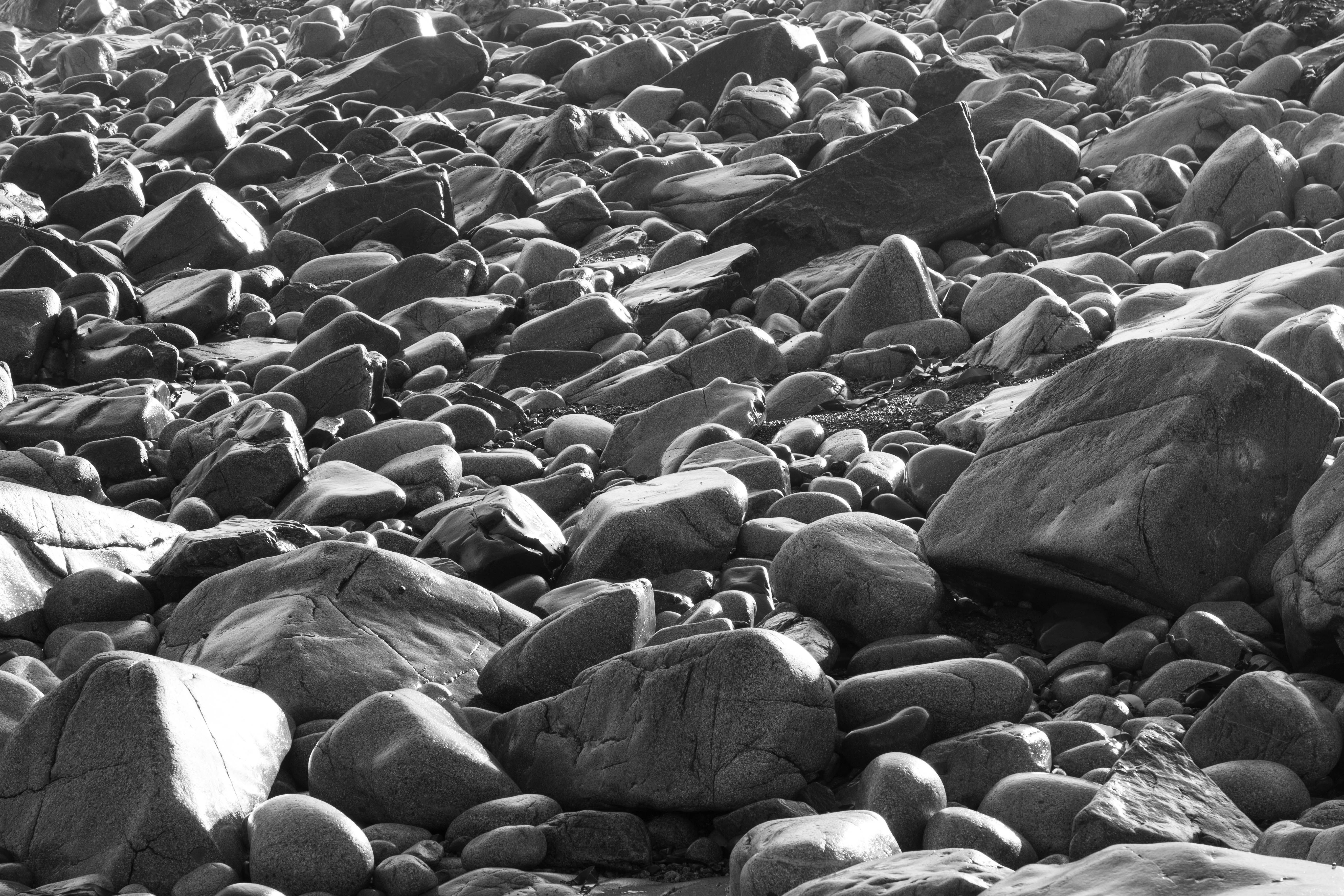 Barren Stones on Sea Shore in Black and White · Free Stock Photo