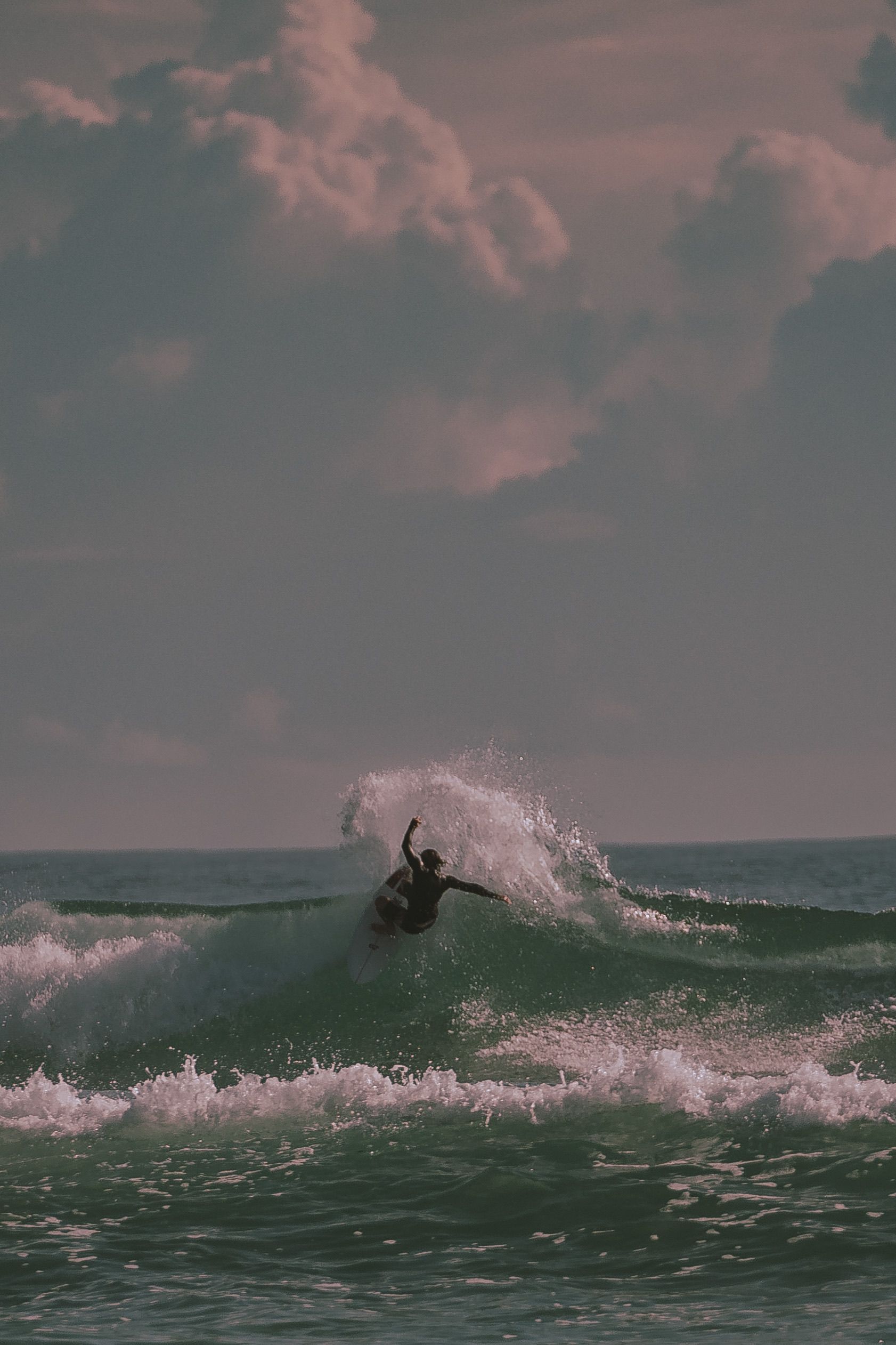 Surfer on Wave · Free Stock Photo