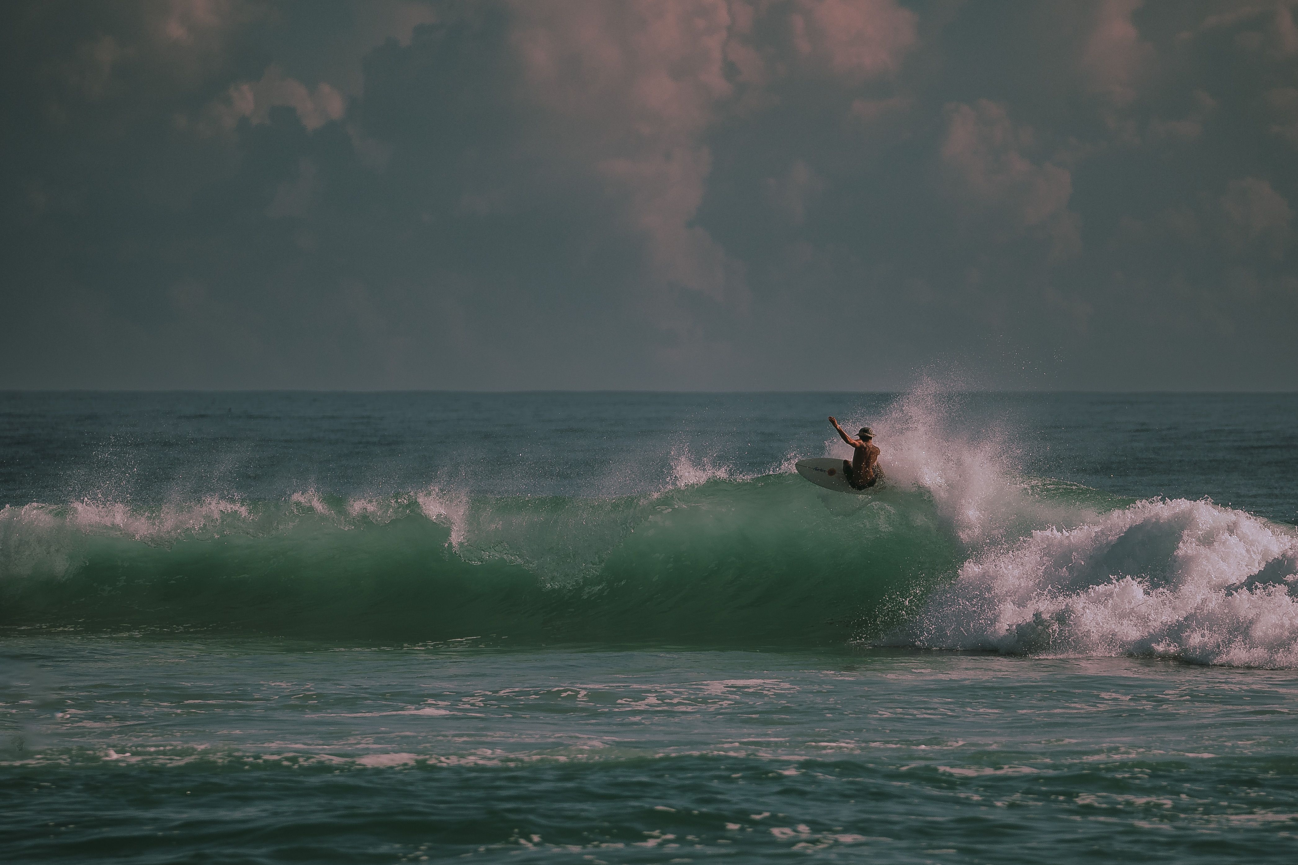 Surfer on Wave · Free Stock Photo