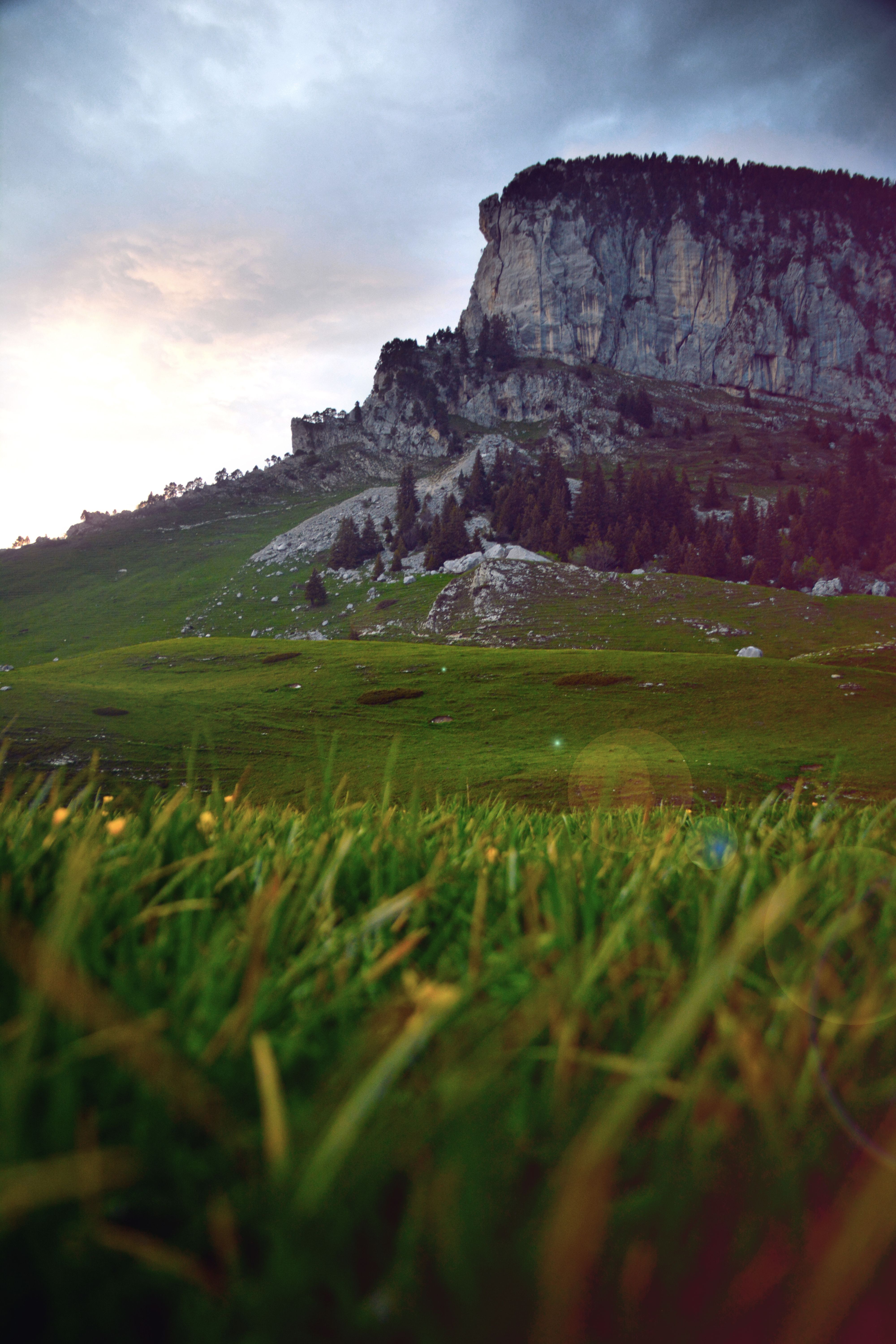 Green Grassland and Rock Formation behind · Free Stock Photo