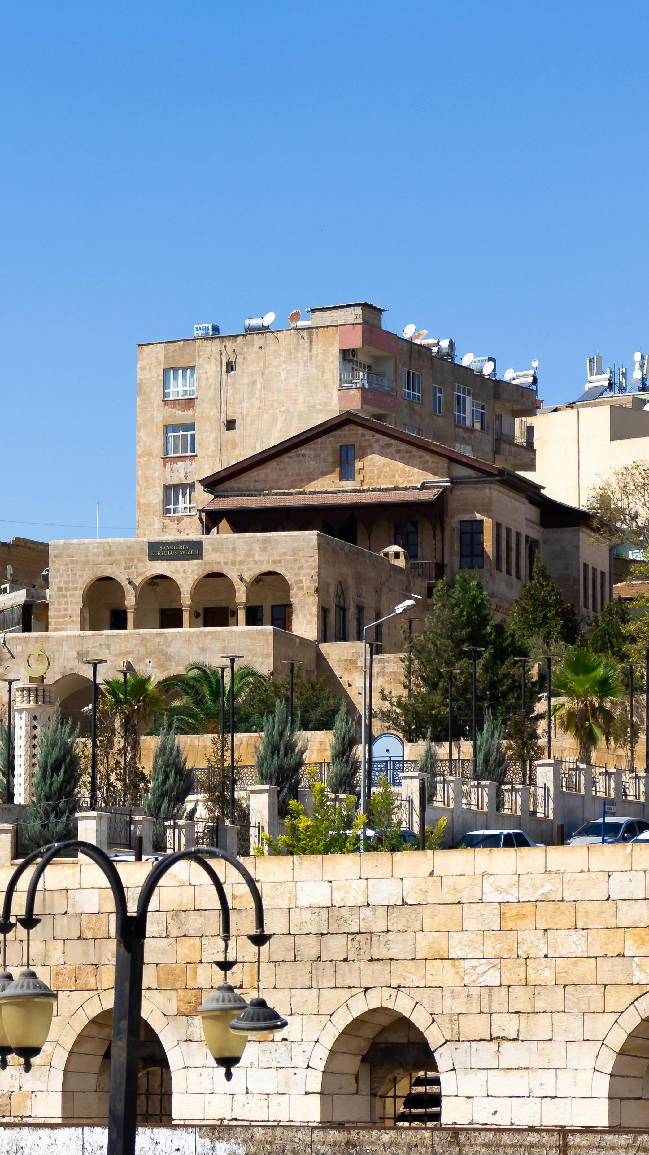 Tree near Building with Apartments · Free Stock Photo