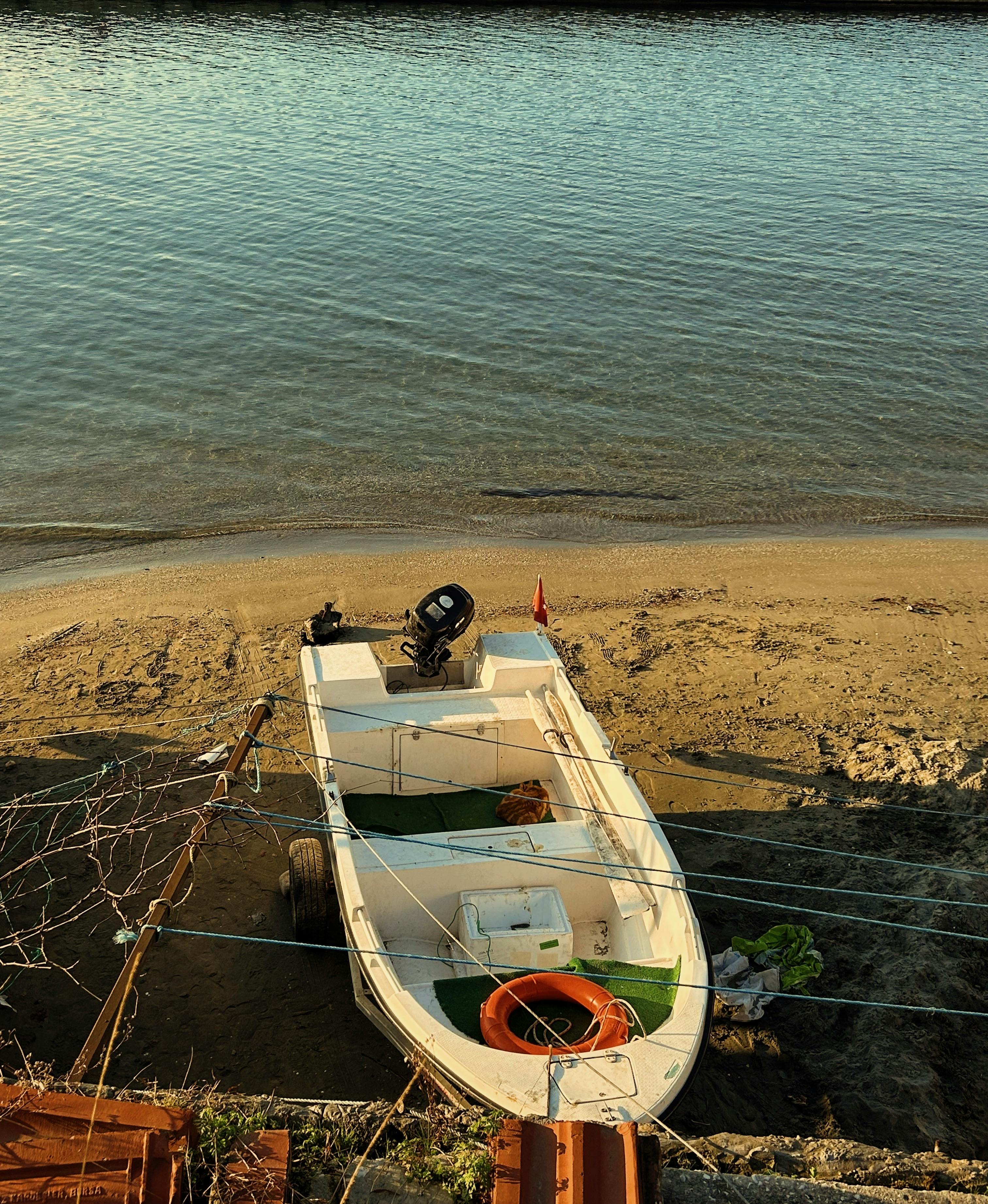 Couch Beach Photos, Download The BEST Free Couch Beach Stock Photos ...