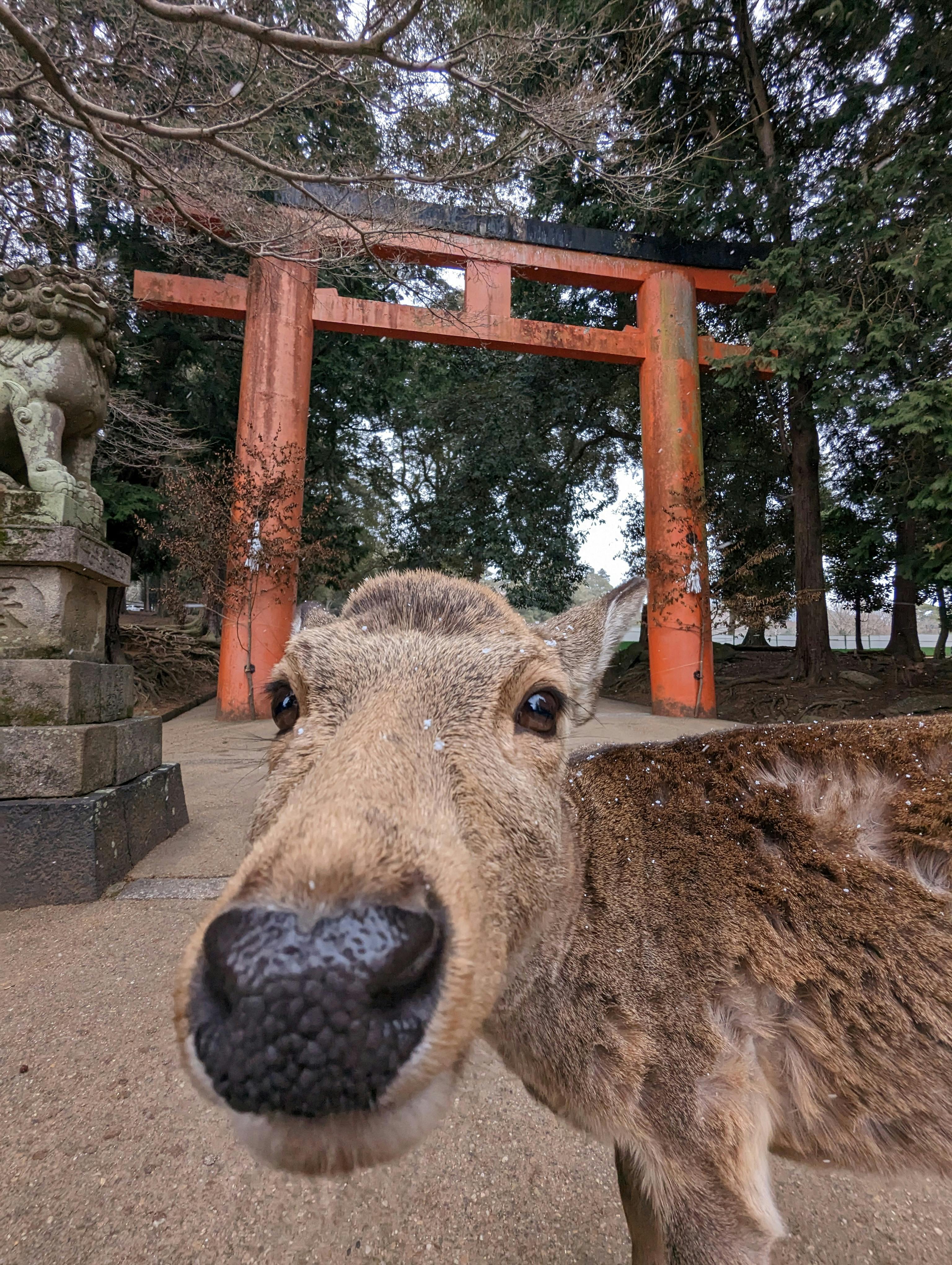 Zane Holmes - Photography