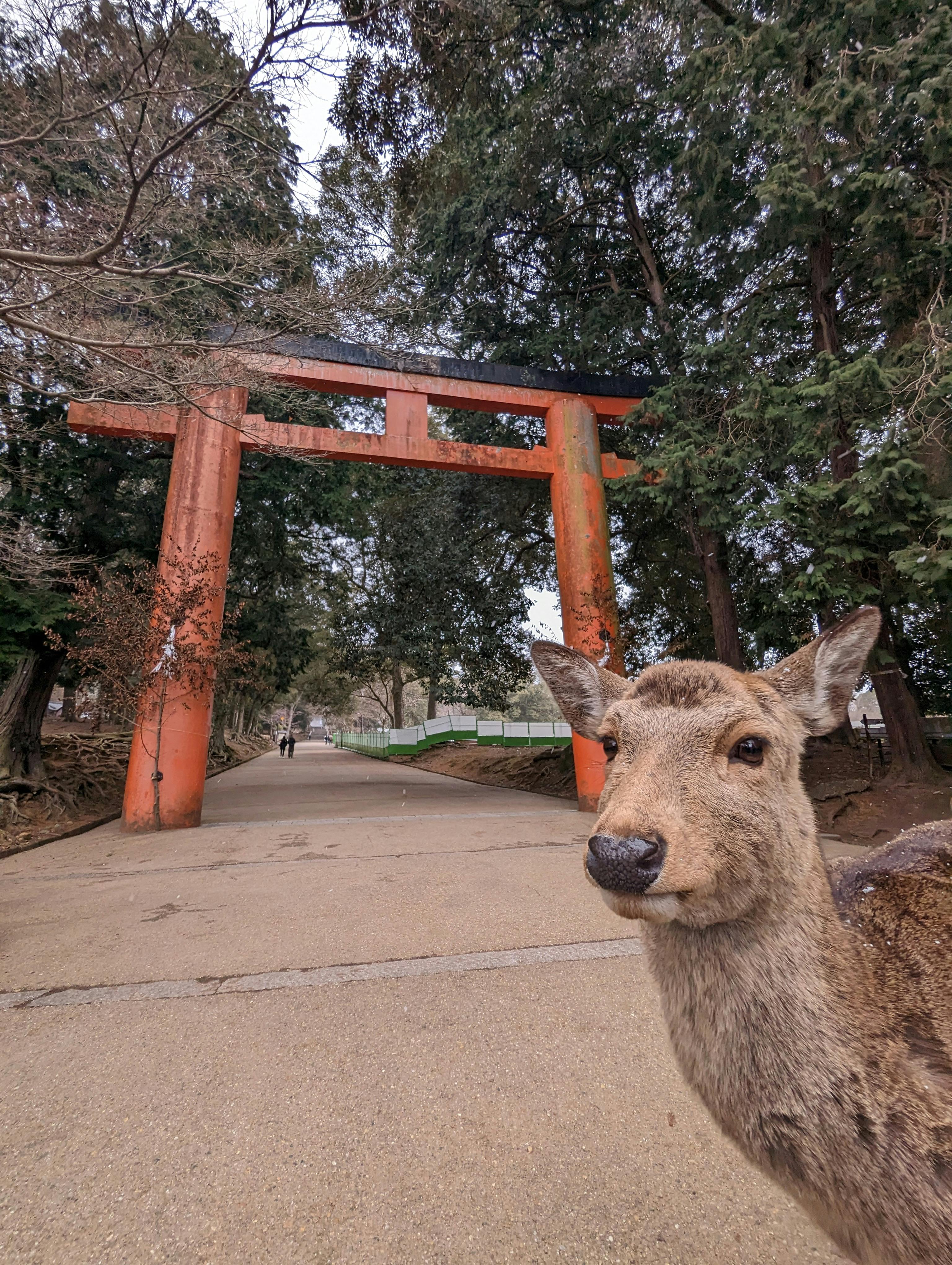 Zane Holmes - Photography