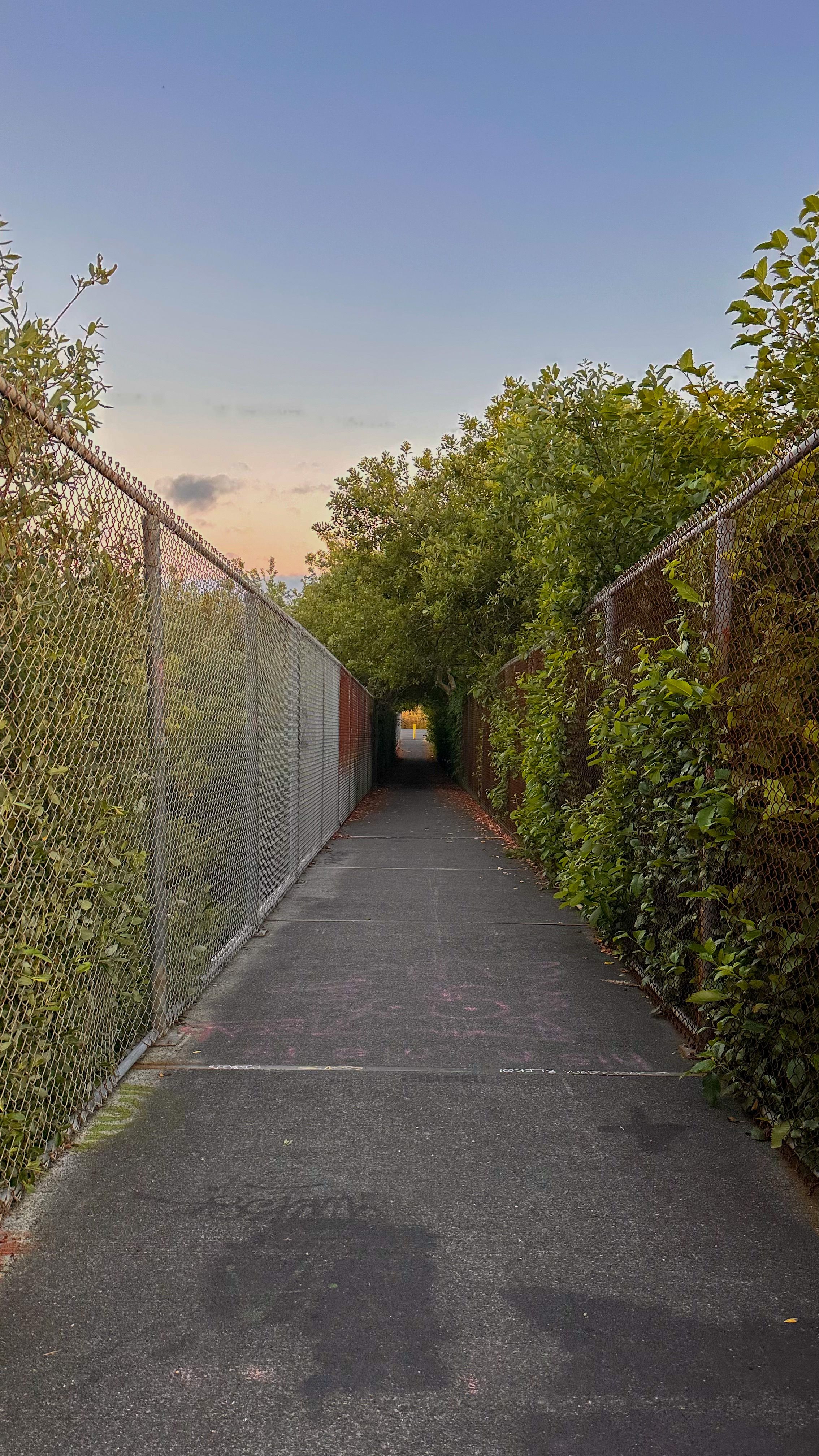 Empty Alley among Fences · Free Stock Photo