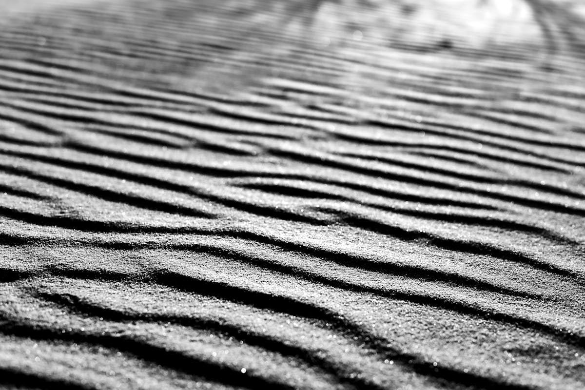 Black And White Sand Dunes Photos, Download The BEST Free Black And ...