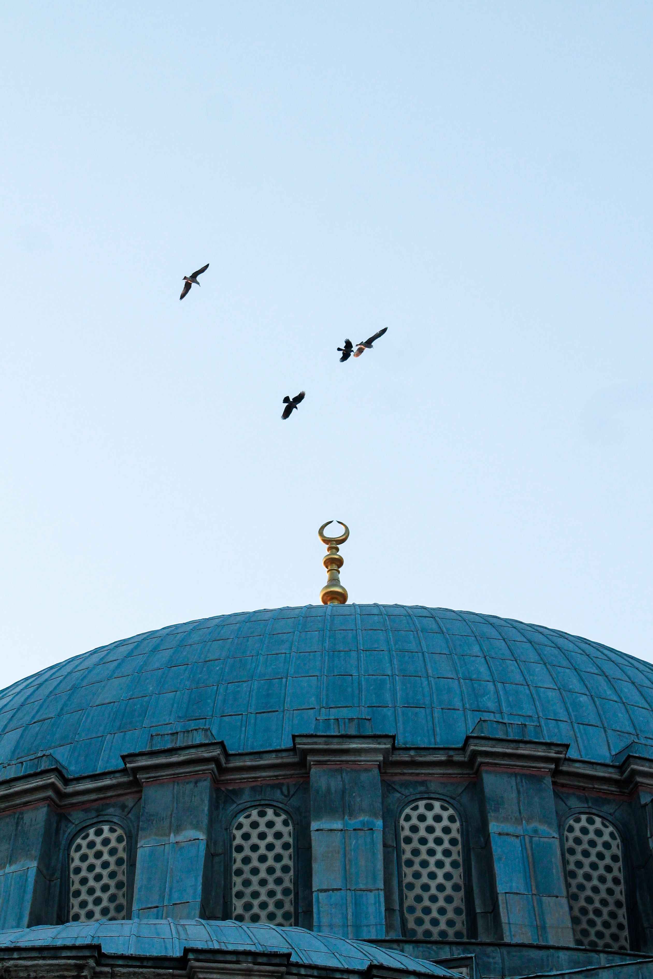 Birds Flying over Mosque Dome · Free Stock Photo