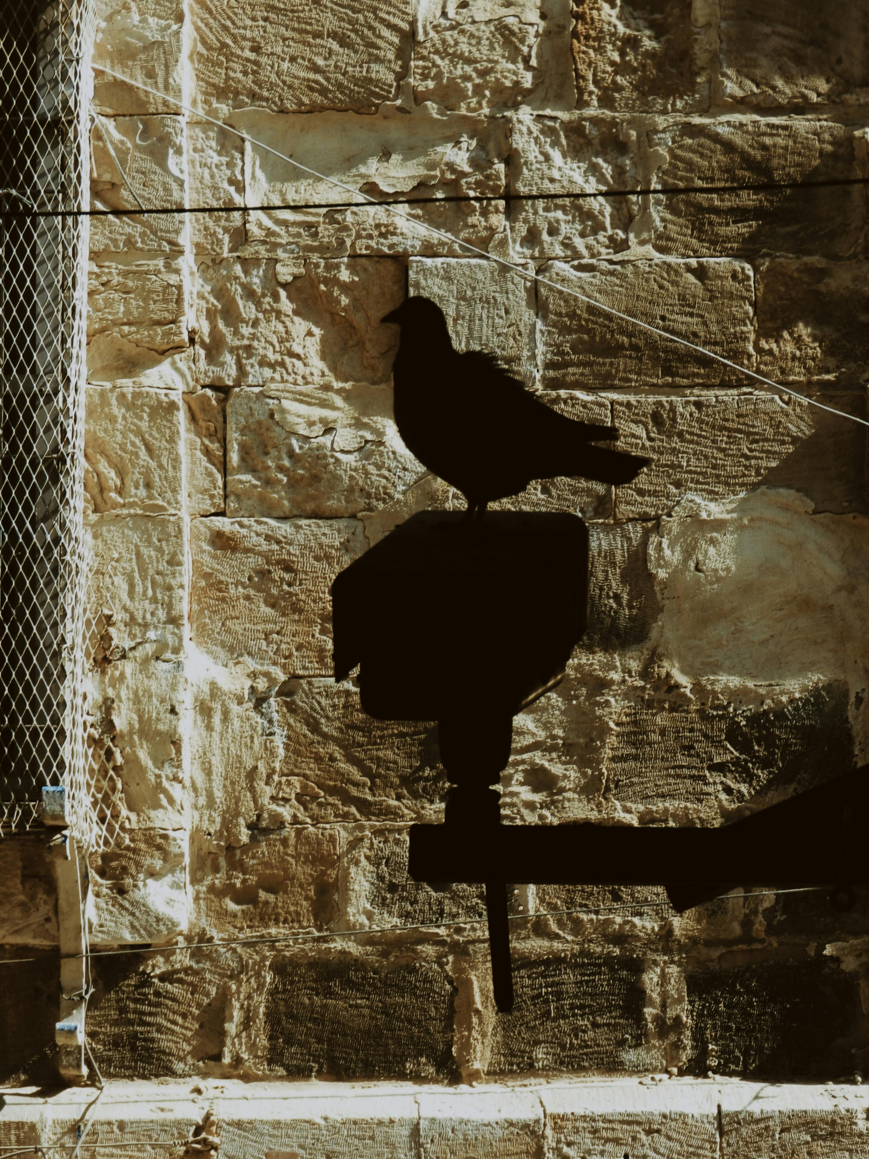 Stone, Damaged Wall · Free Stock Photo