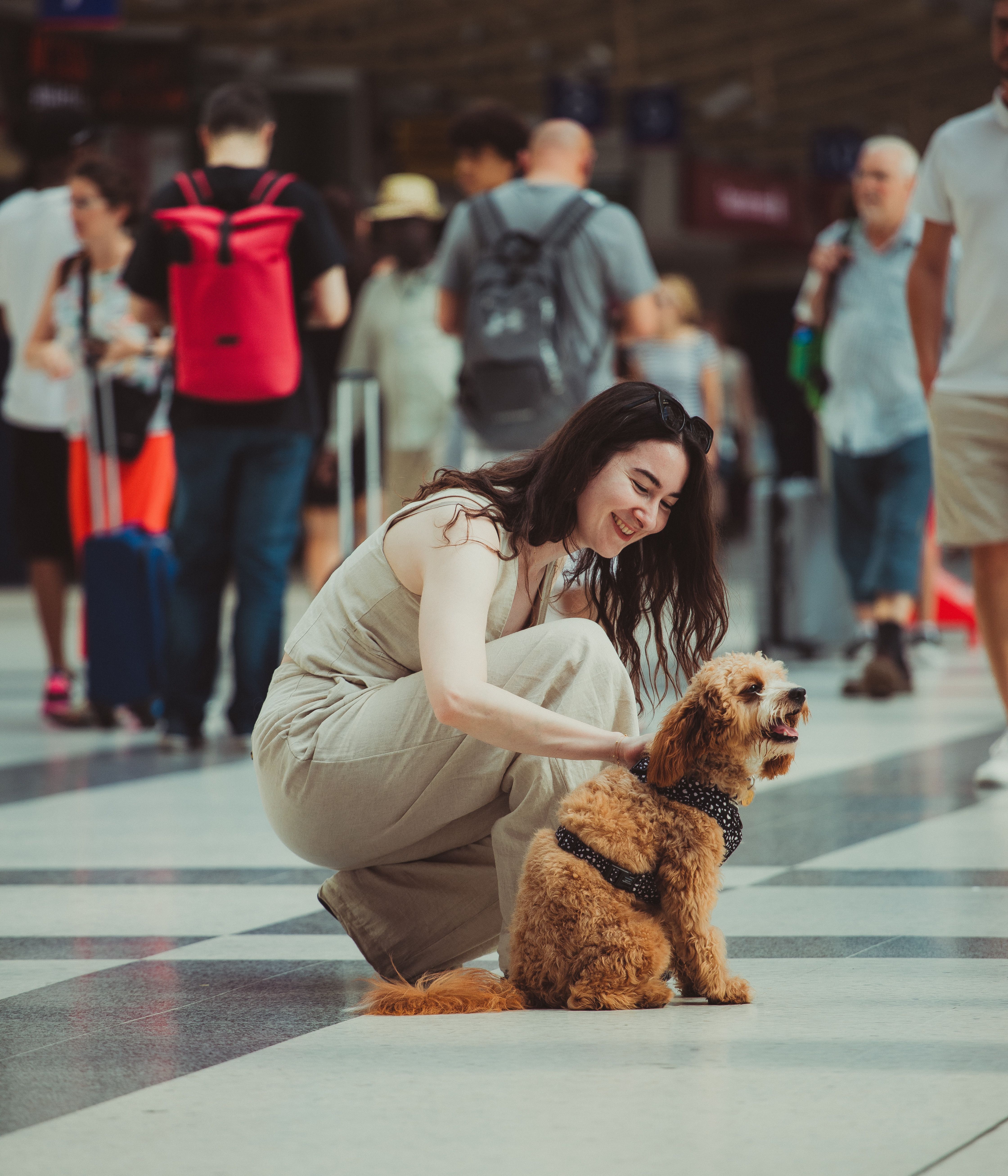Brunette Woman Calming Down a Fluffy Barking Dog · Free Stock Photo