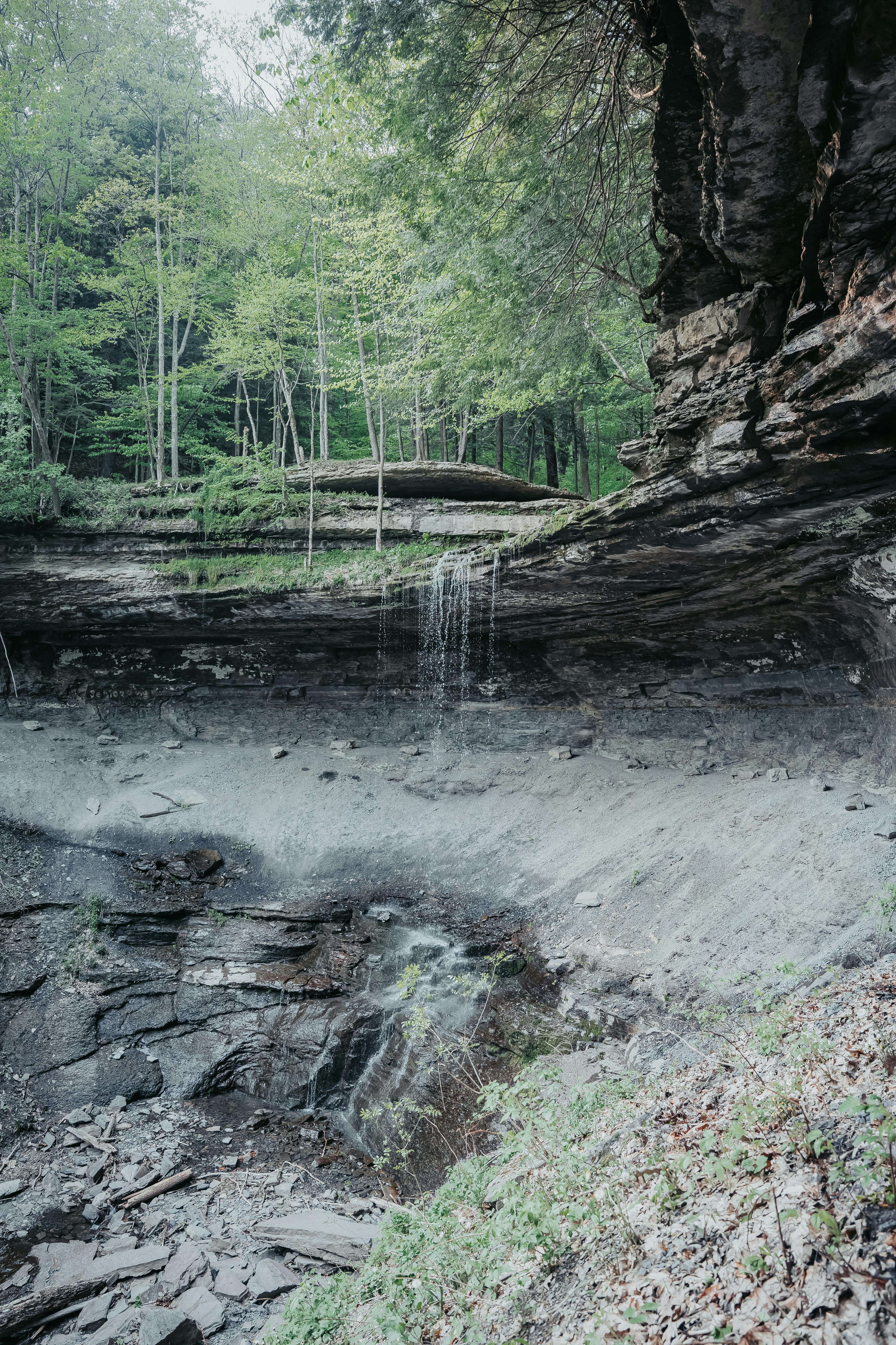 Flowing Water over Rocks in Forest · Free Stock Photo