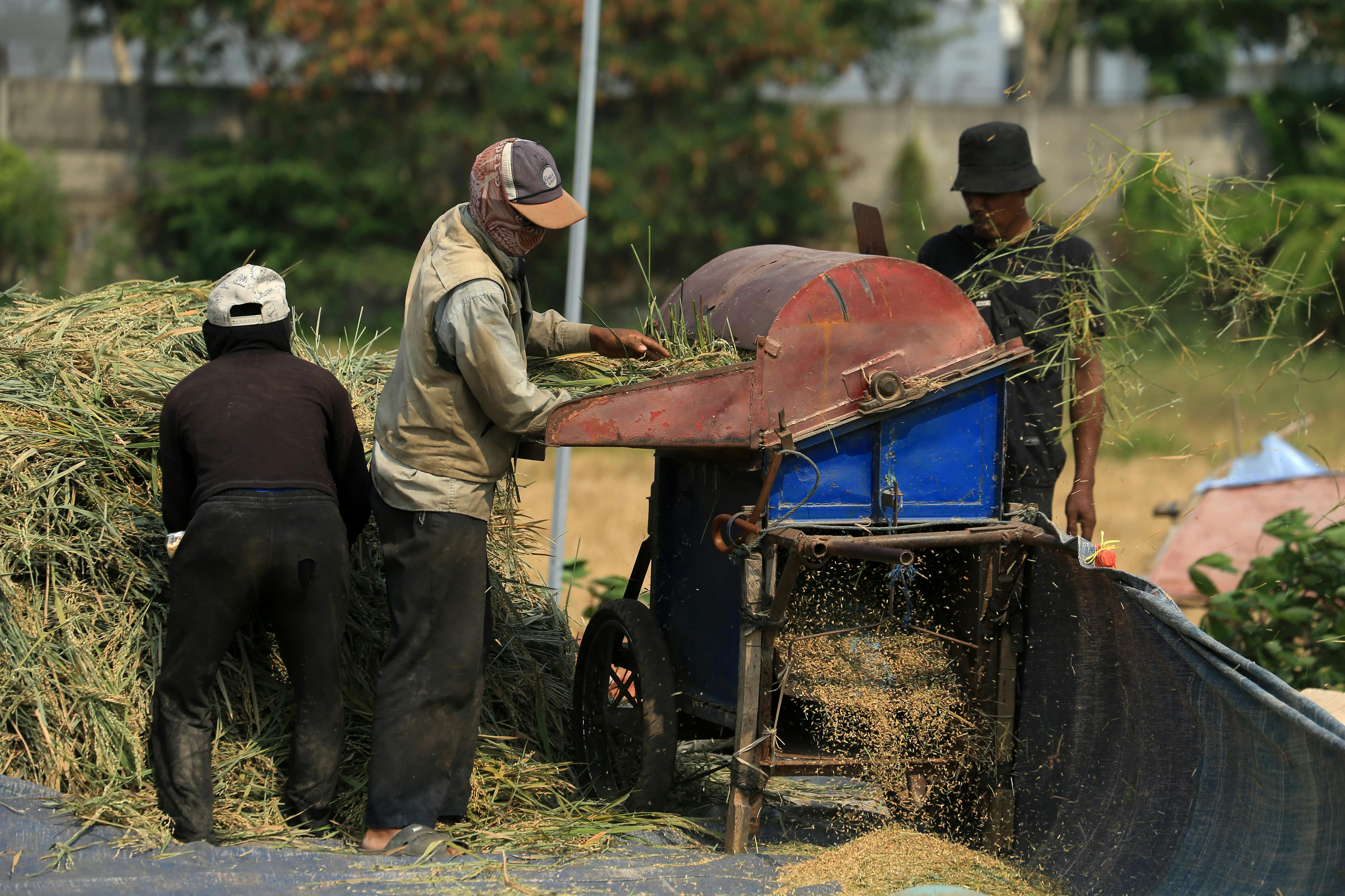 My Works Photos, Download The BEST Free My Works Stock Photos & HD Images