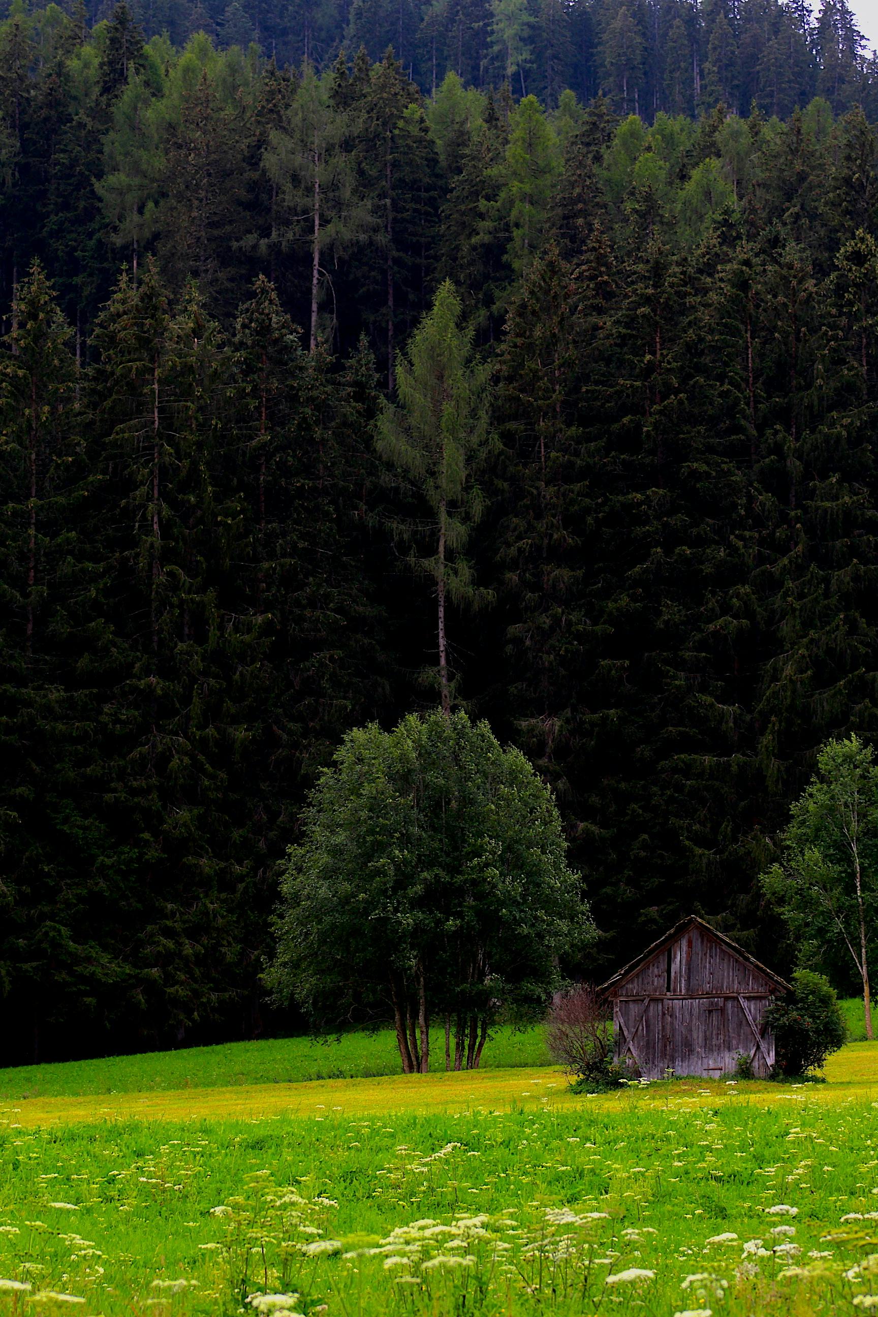 Billie Hut Photos, Download The BEST Free Billie Hut Stock Photos & HD ...