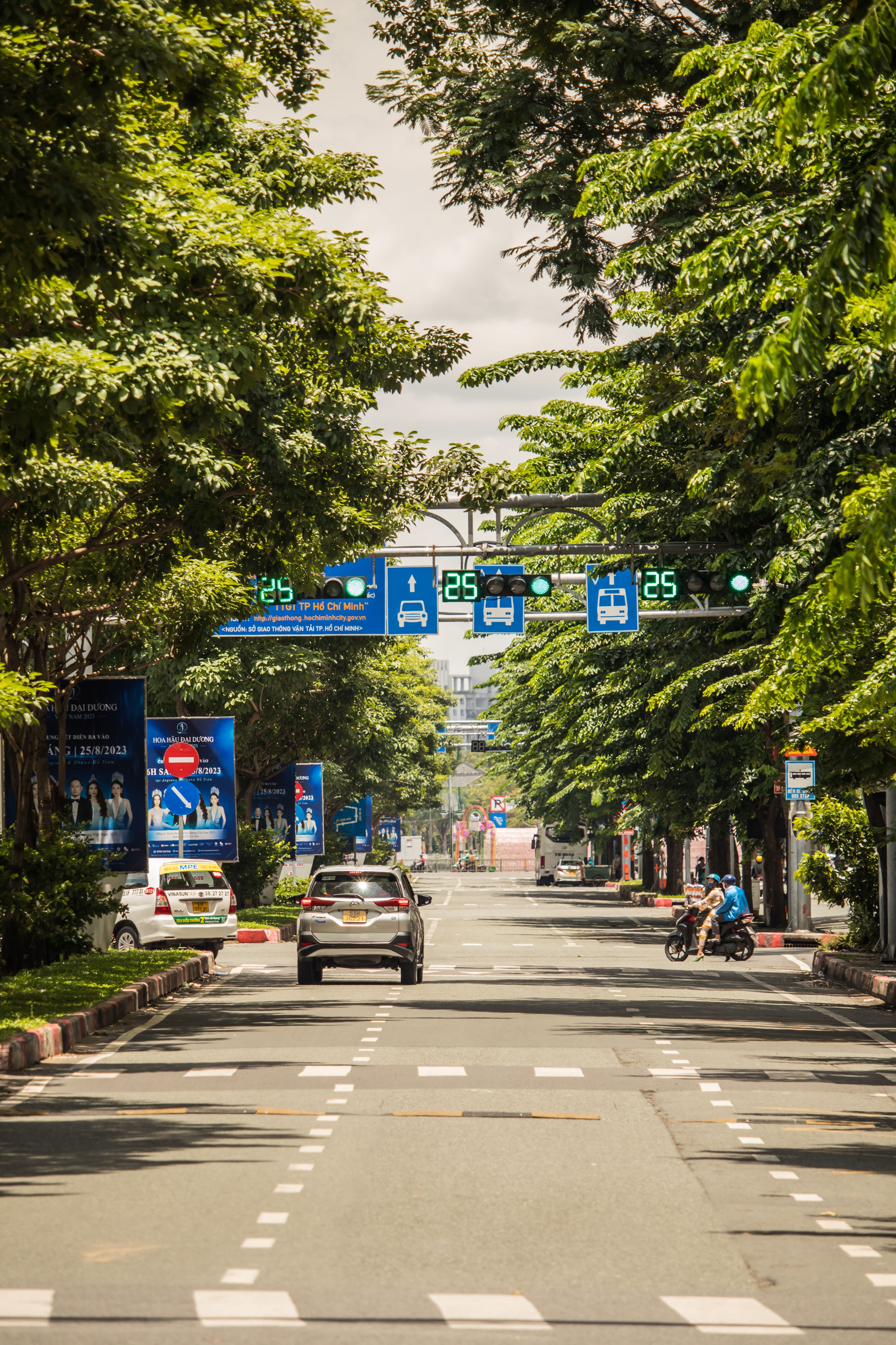 Trees and Shadow over Street in Town · Free Stock Photo