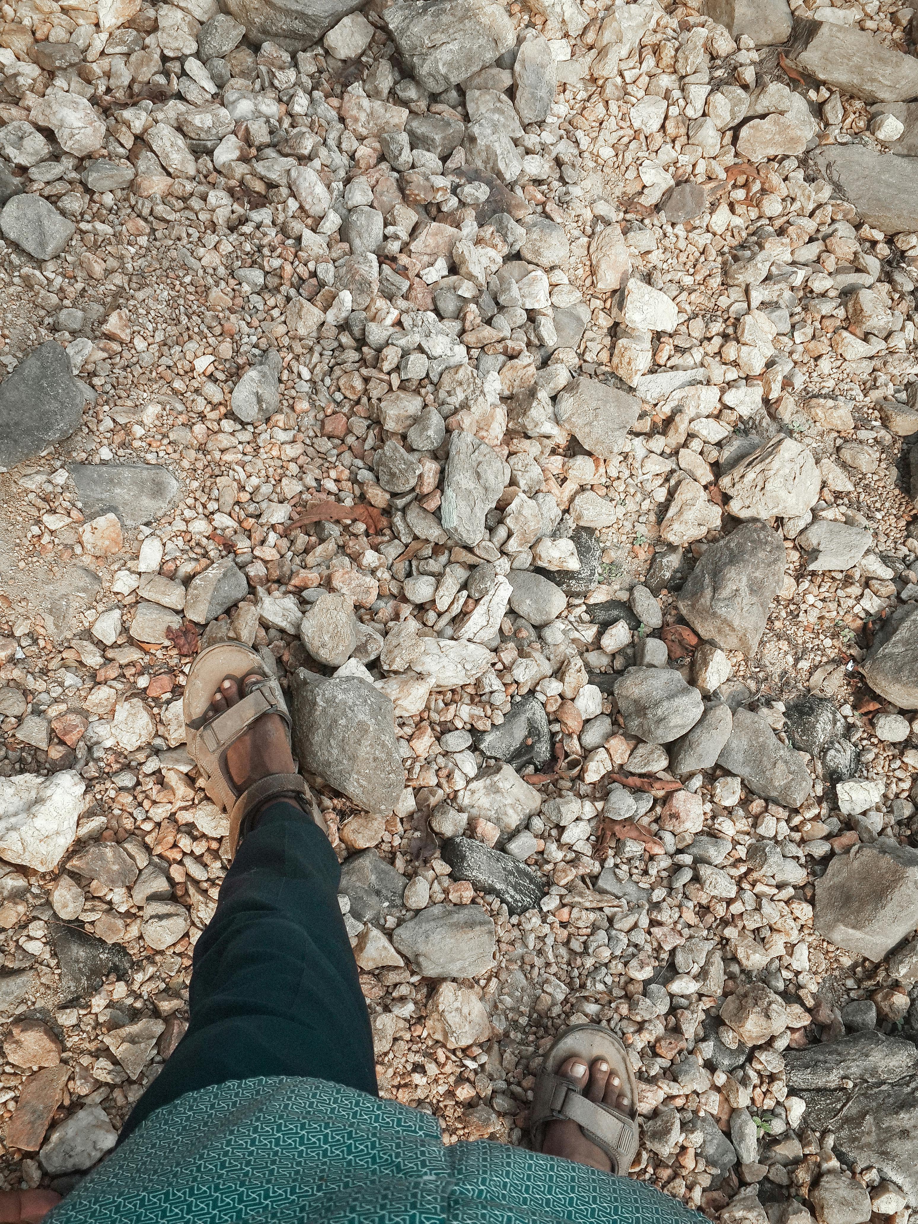 Free stock photo of deviantart, photoshop