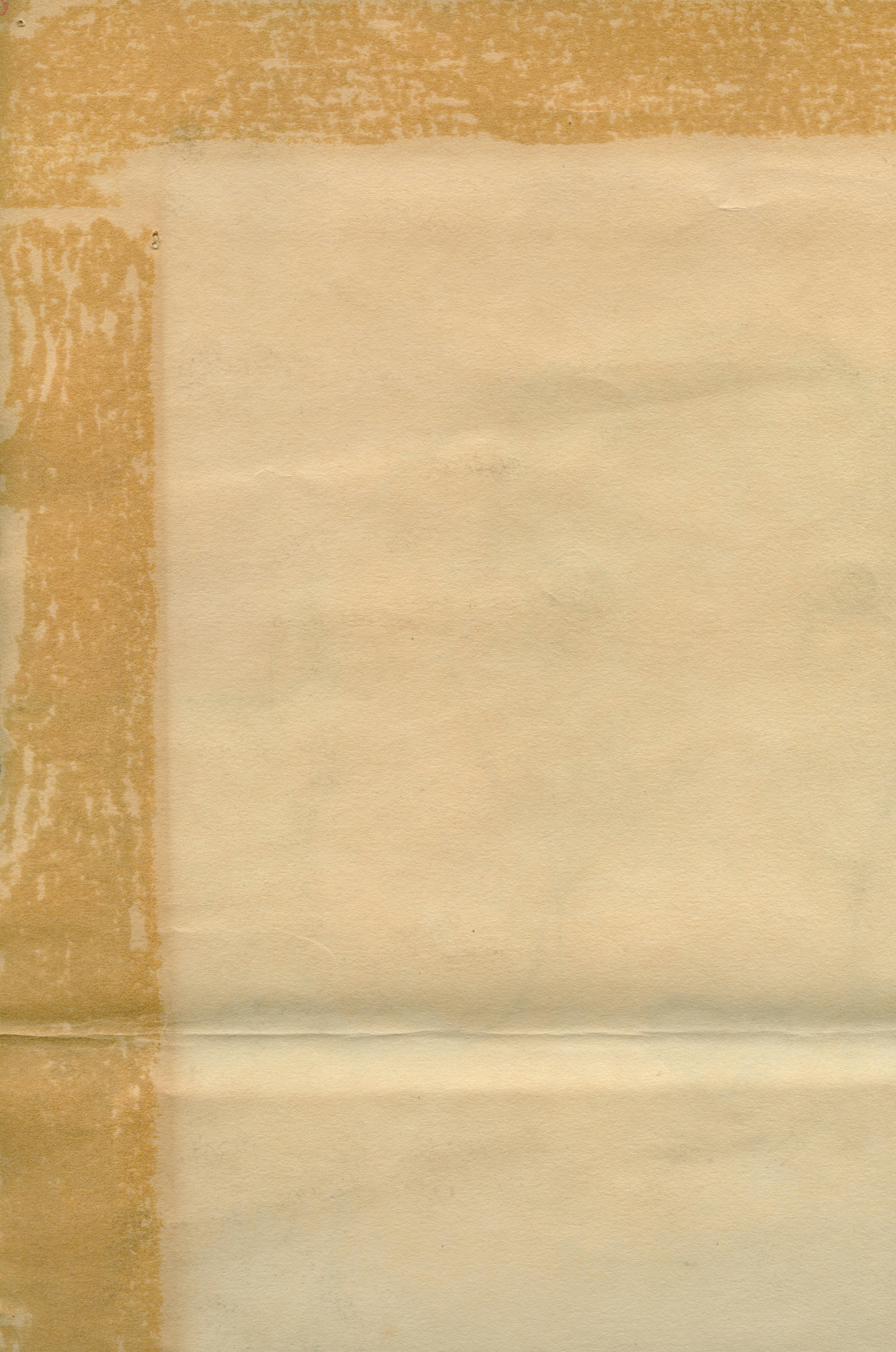 Close up of a White Piece of Paper · Free Stock Photo