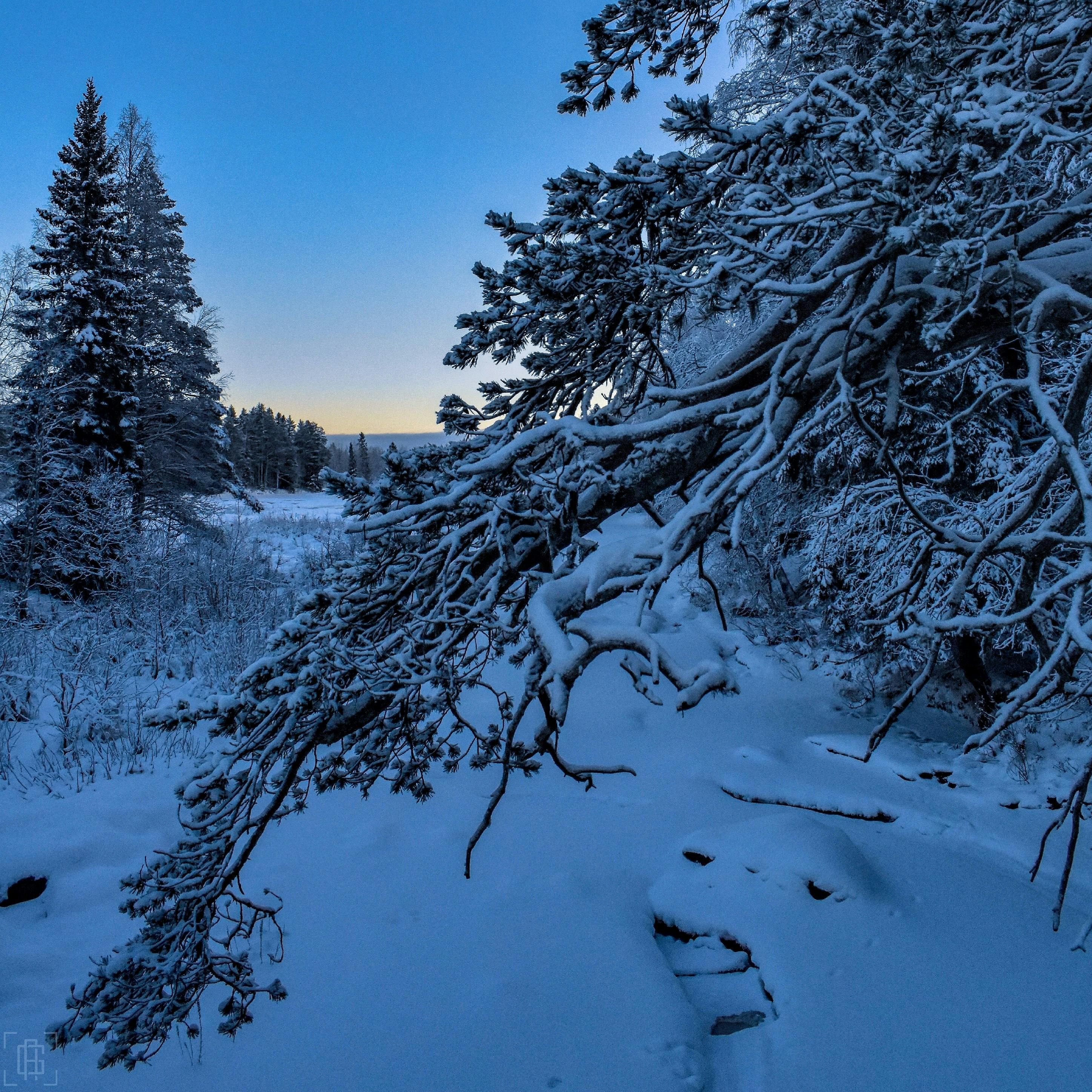 Aaron Gorman - Photography