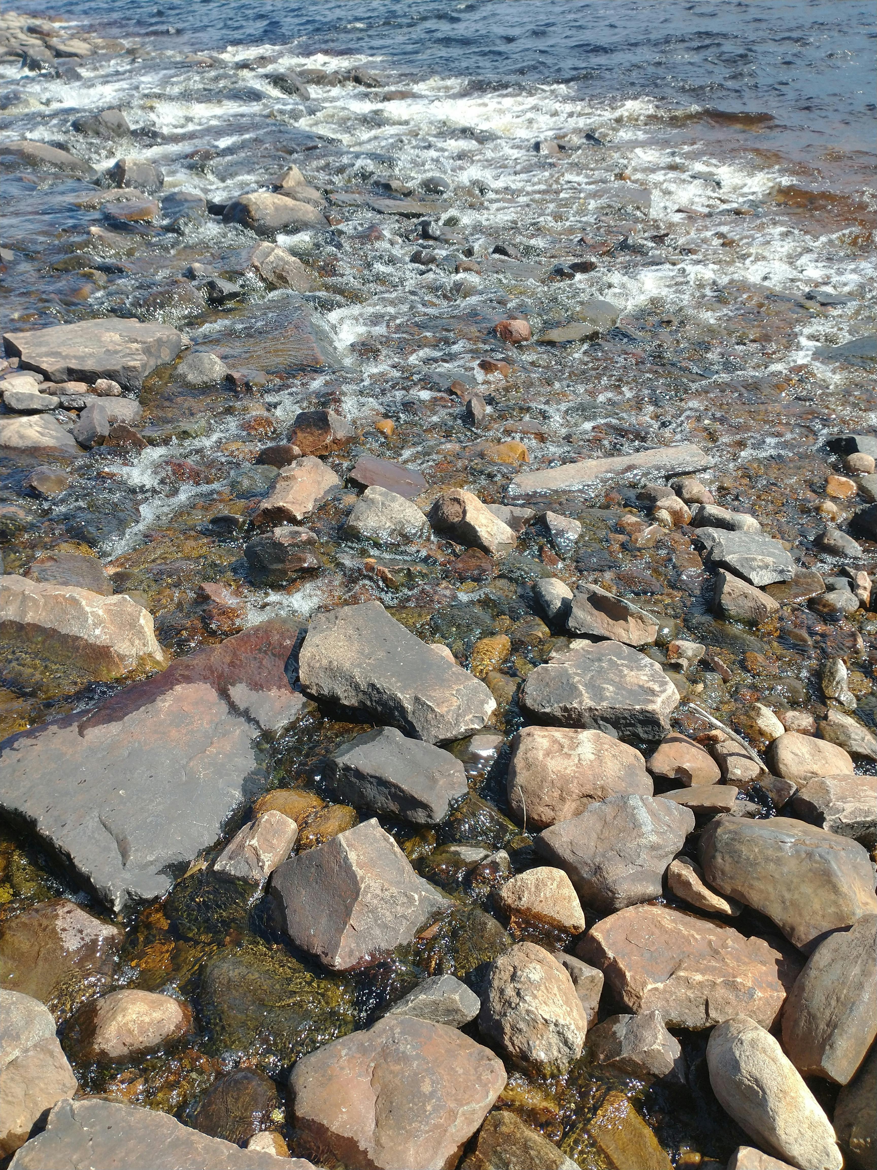 Close up of Stones on Sea Shore · Free Stock Photo