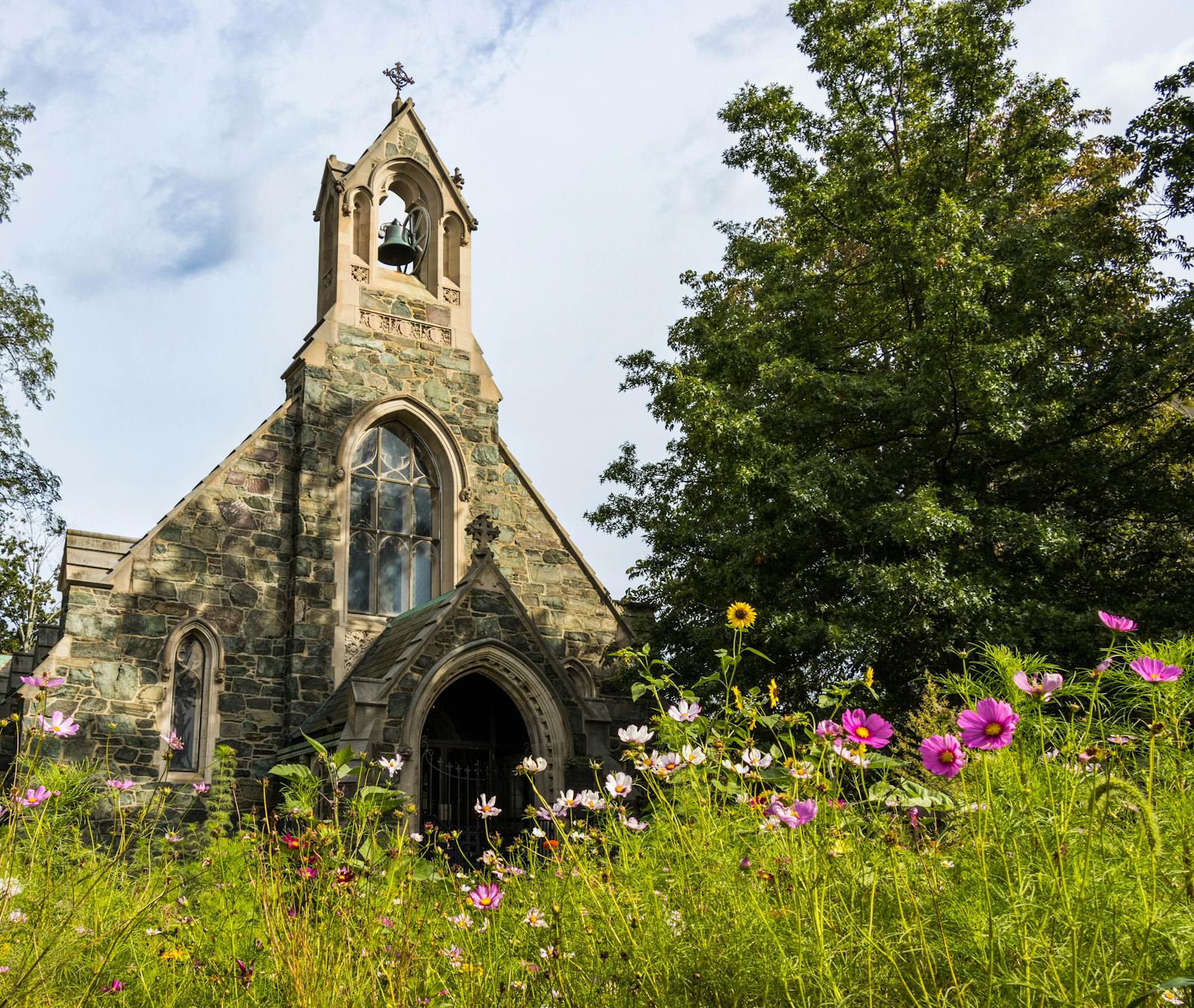 Cambridge Photos, Download The BEST Free Cambridge Stock Photos & HD Images