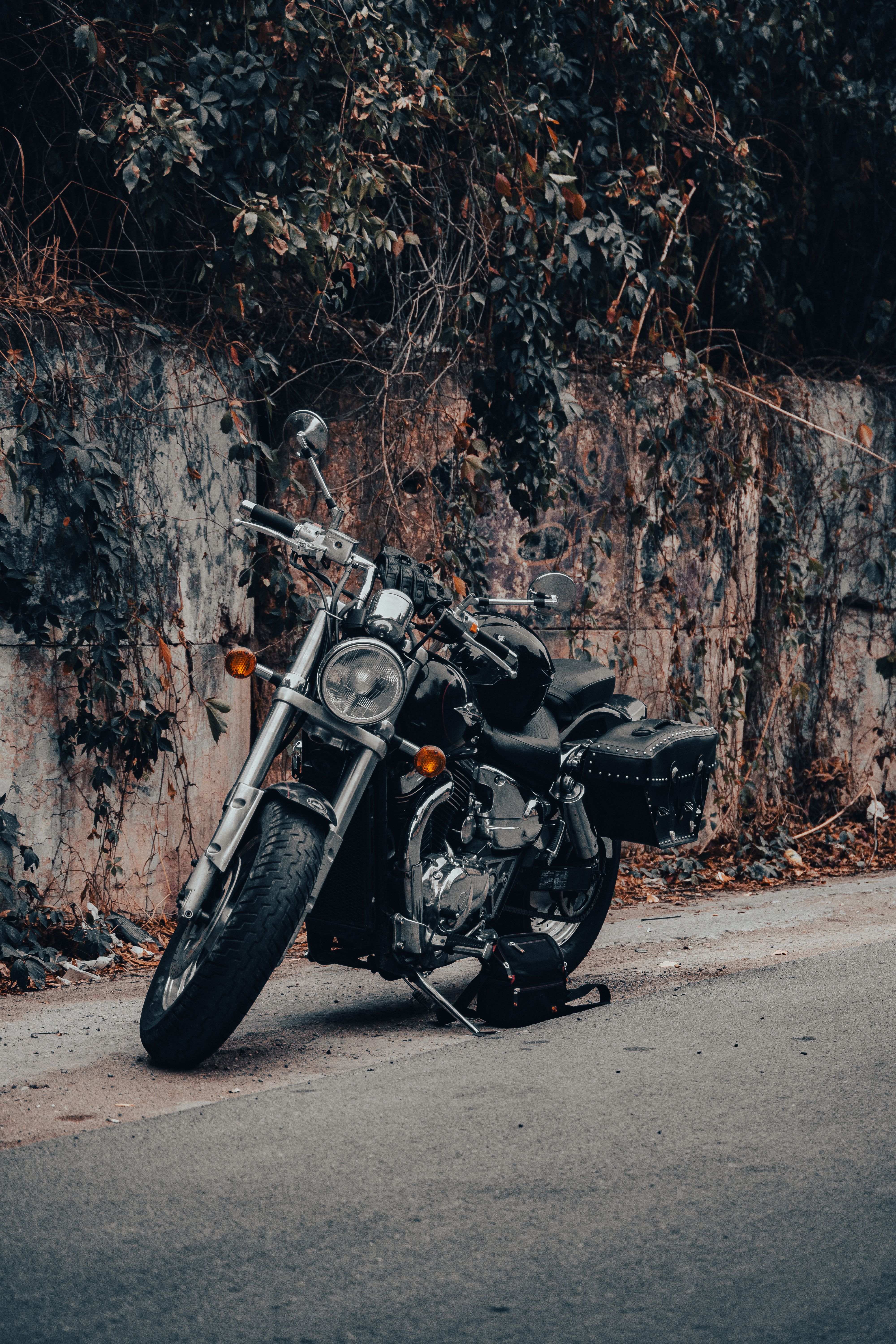 Grey Nomad Photos, Download The BEST Free Grey Nomad Stock Photos & HD ...