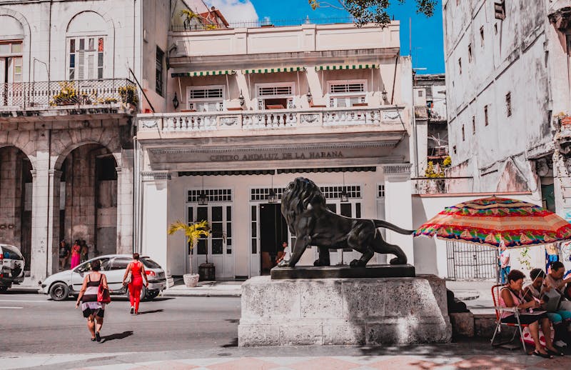 Lion Cuba Photos, Download The BEST Free Lion Cuba Stock Photos & HD Images