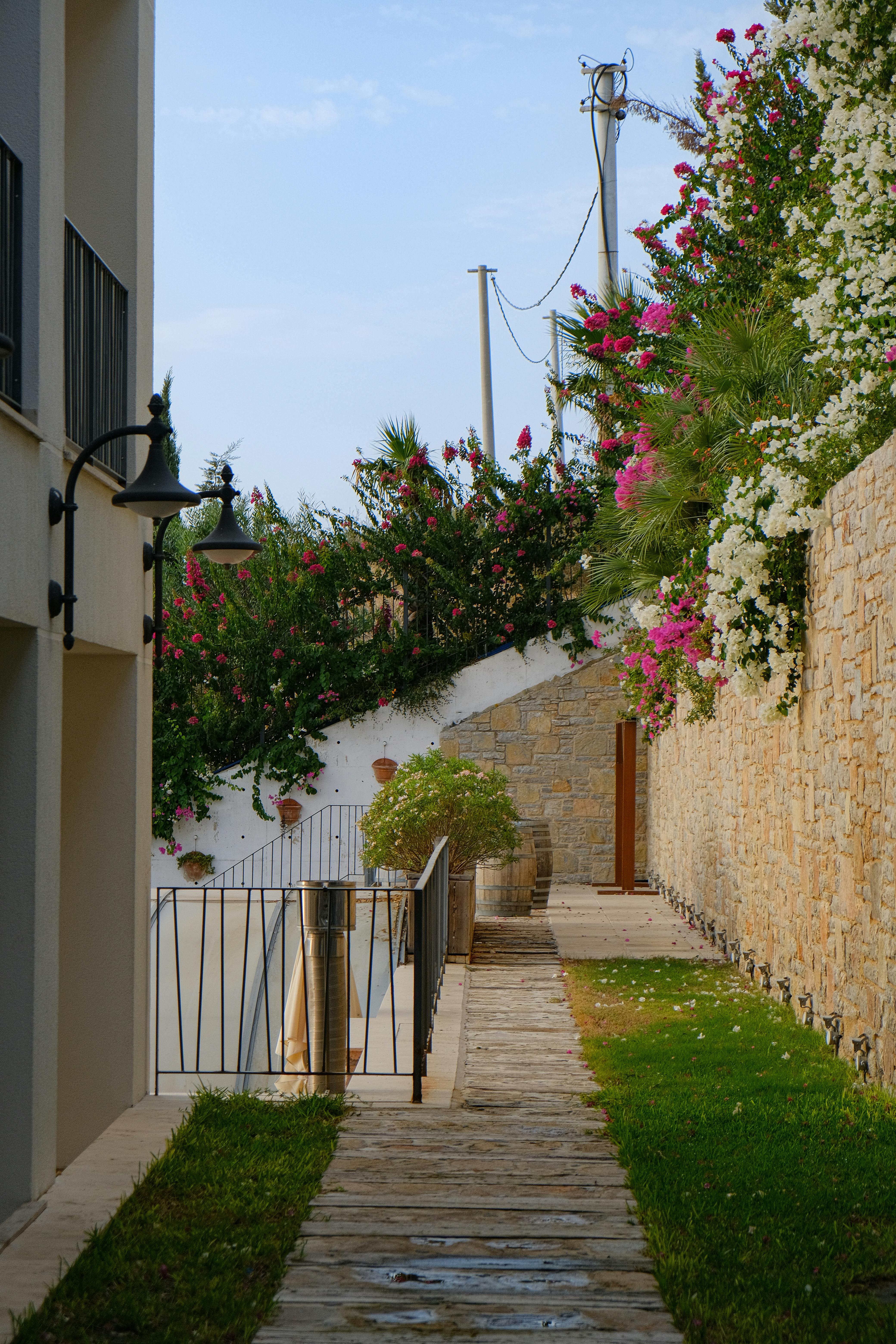 Footpath in a Cozy Backyard of a Residential House · Free Stock Photo