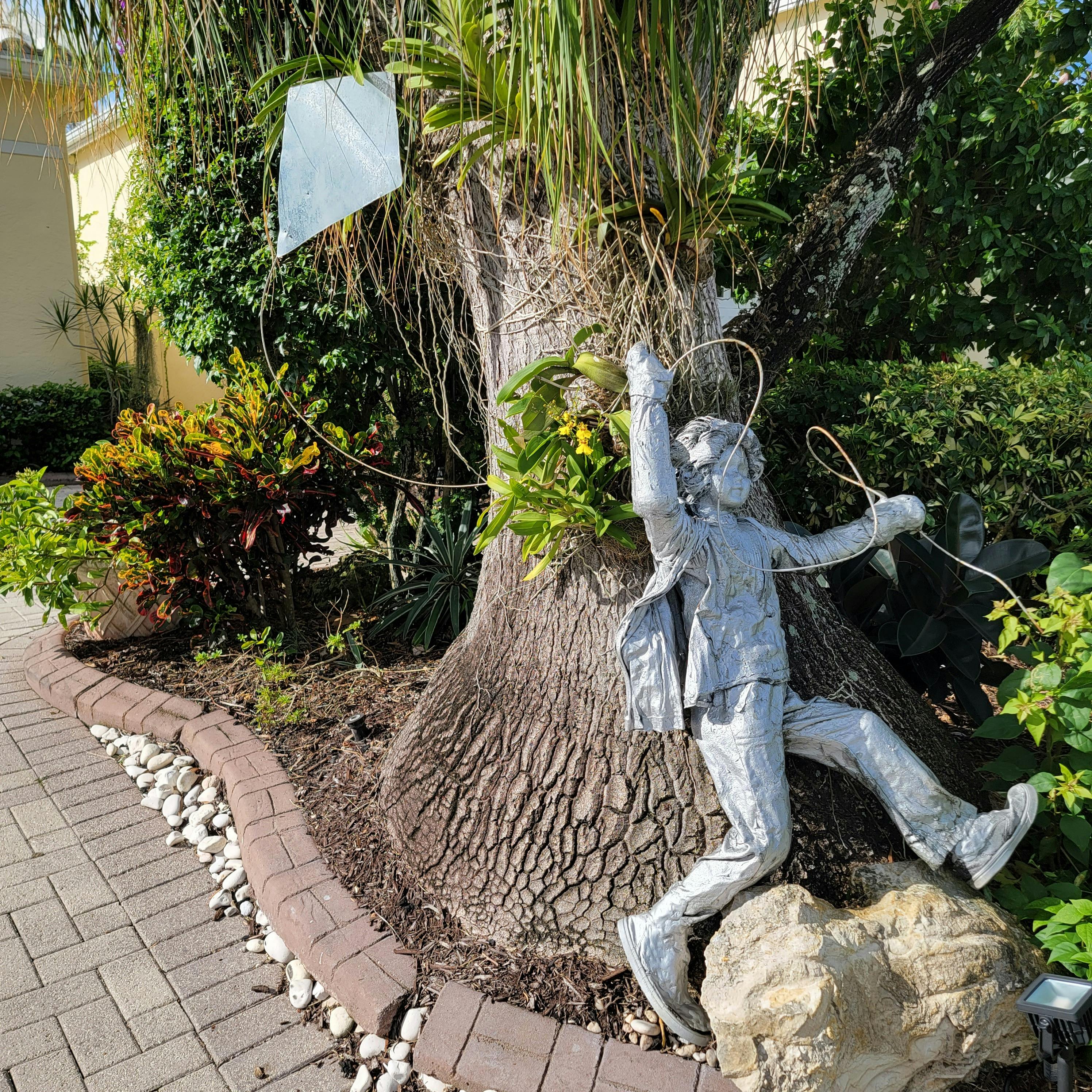 Wayne Howell - Fotografía