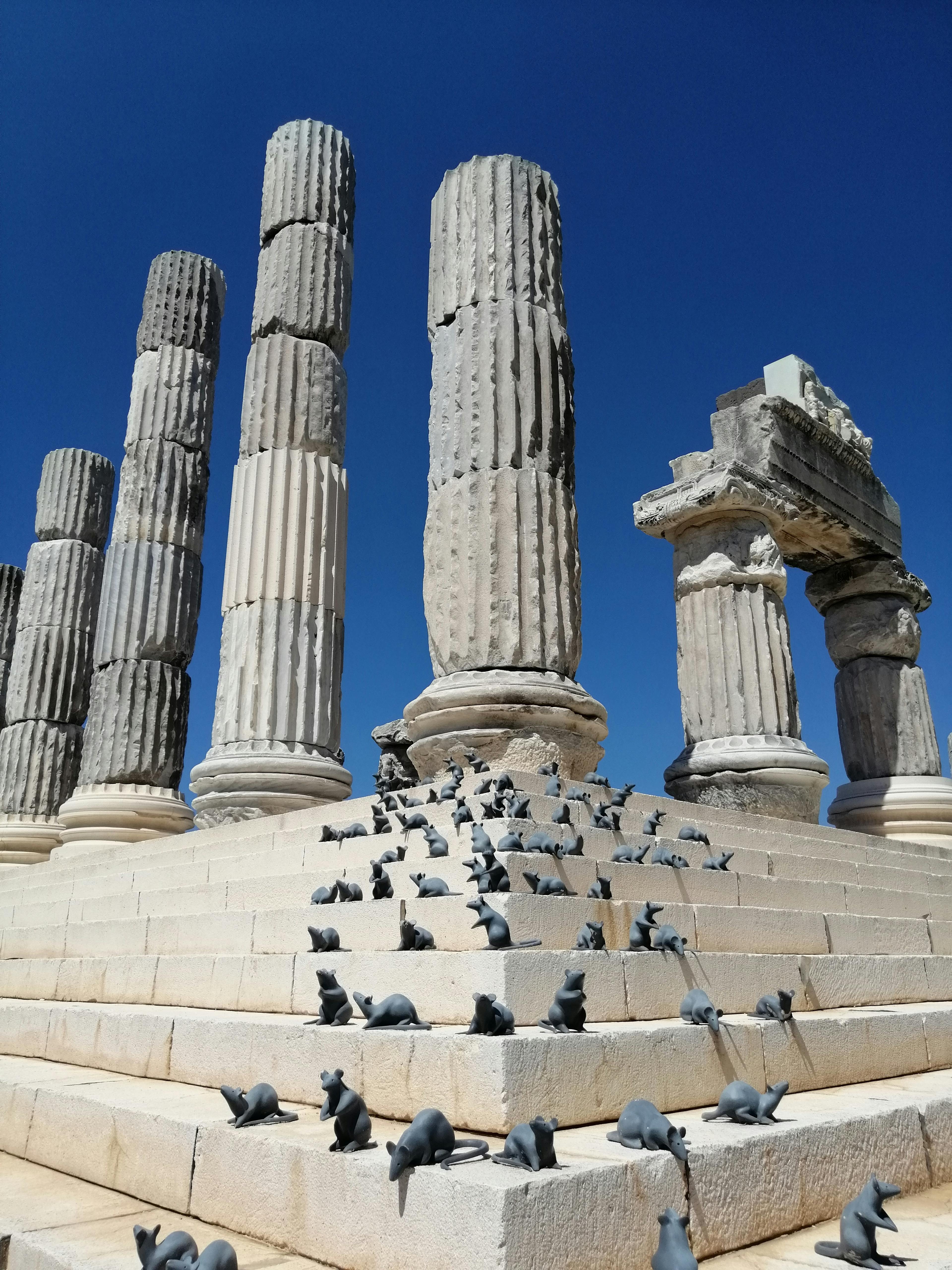 Mice Figurines at Apollo Temple in Didim · Free Stock Photo
