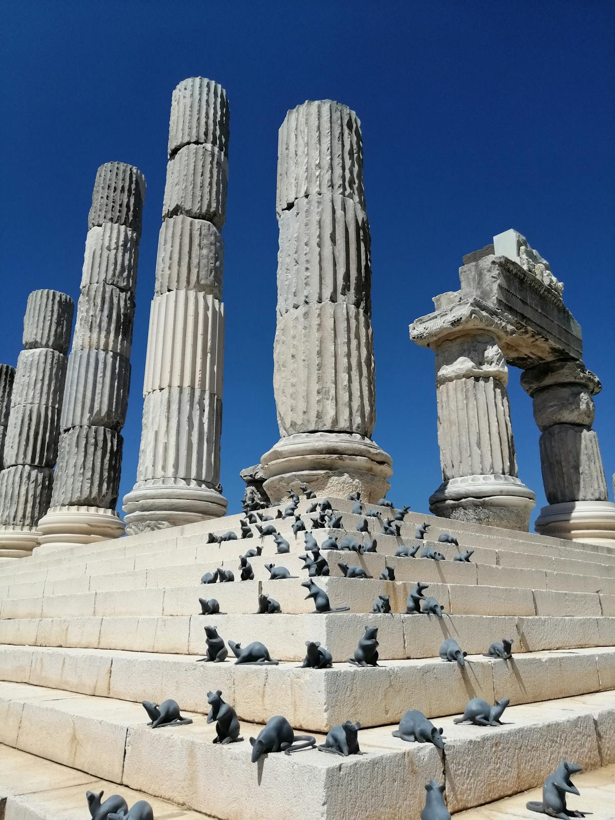 Mouse Temple Photos, Download The BEST Free Mouse Temple Stock Photos ...