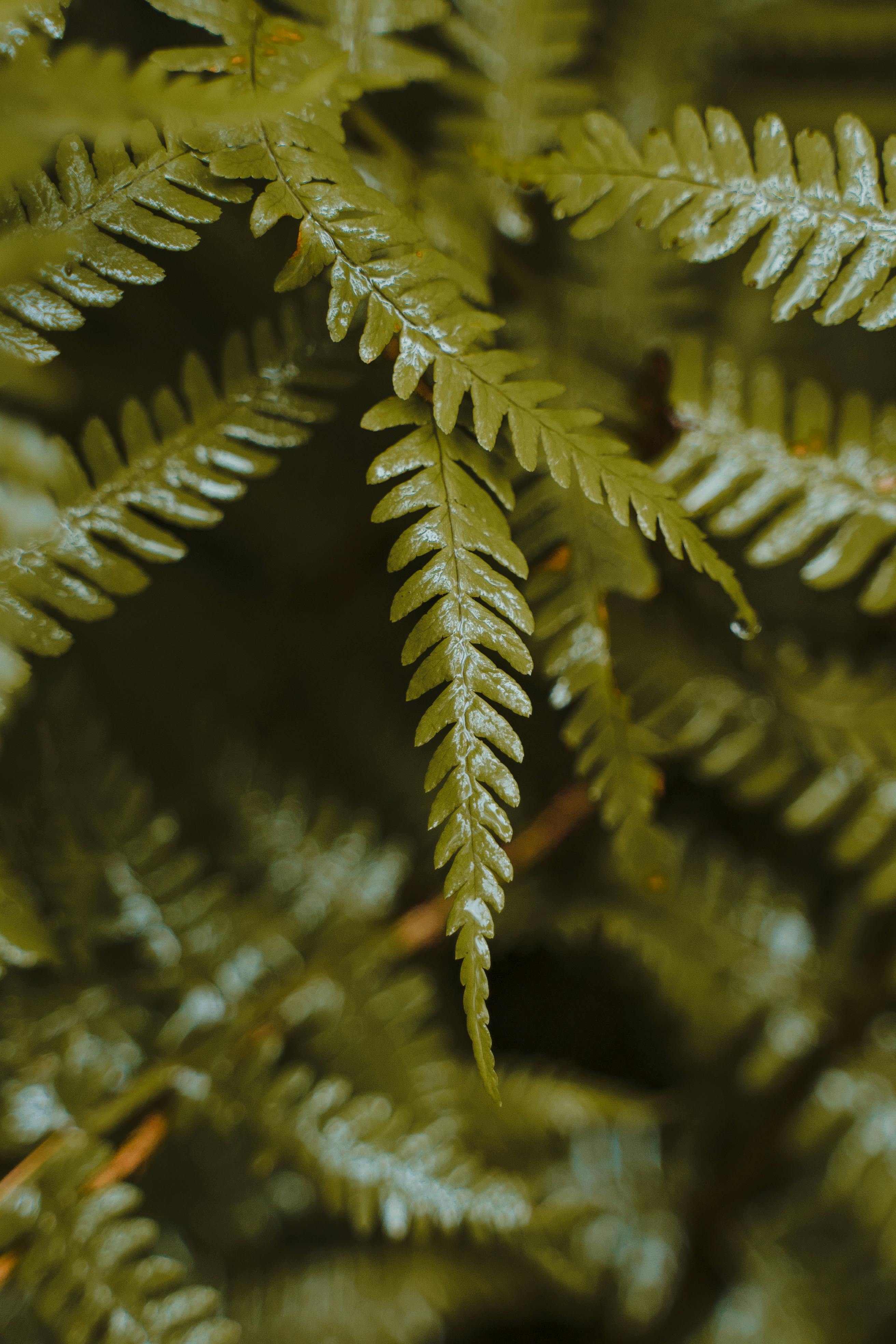 Techno Texture Photos, Download The BEST Free Techno Texture Stock ...