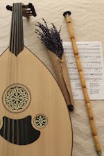 Lute Photos, Download The BEST Free Lute Stock Photos & HD Images