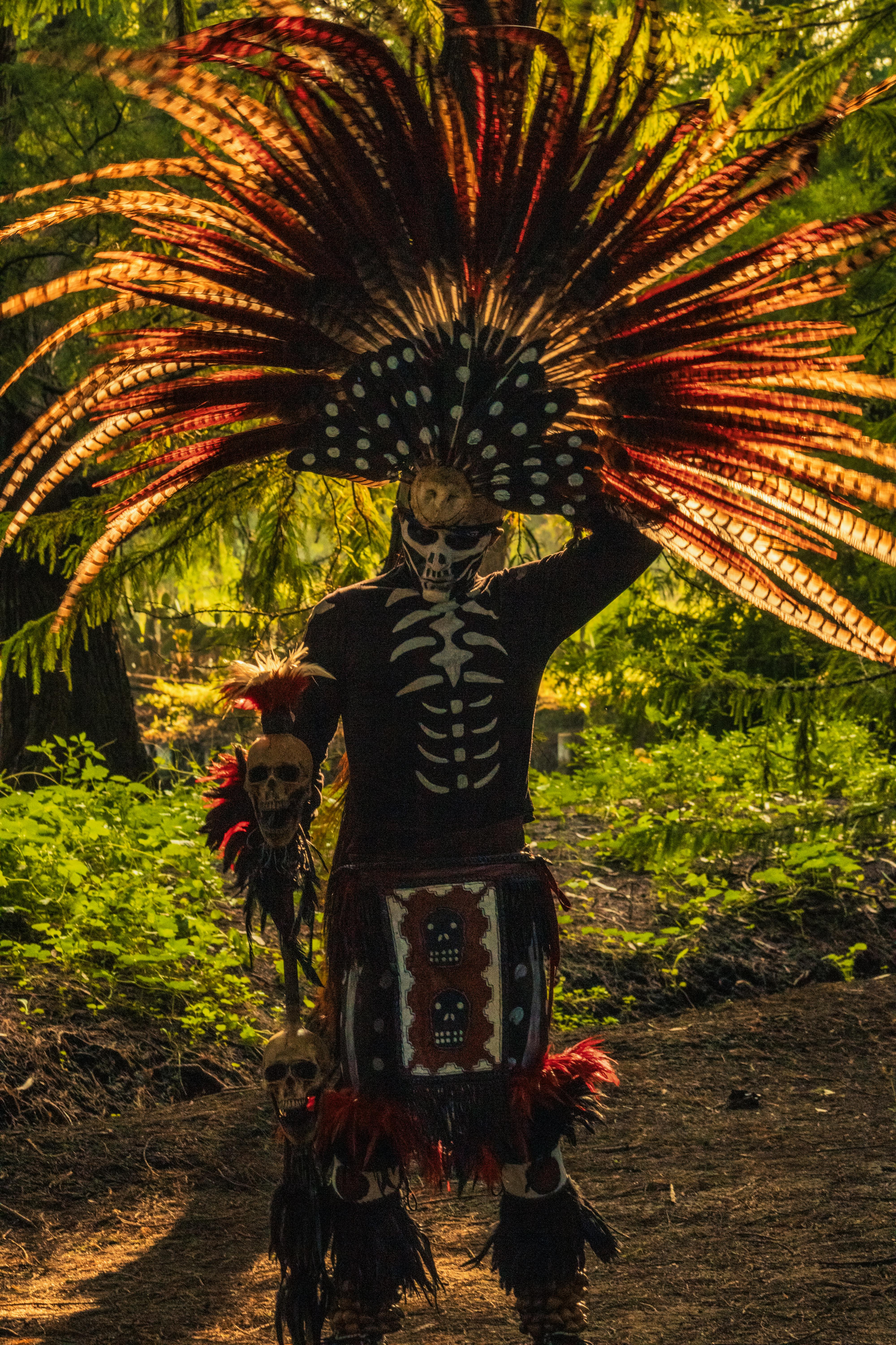 Witch Doctor in Plume · Free Stock Photo