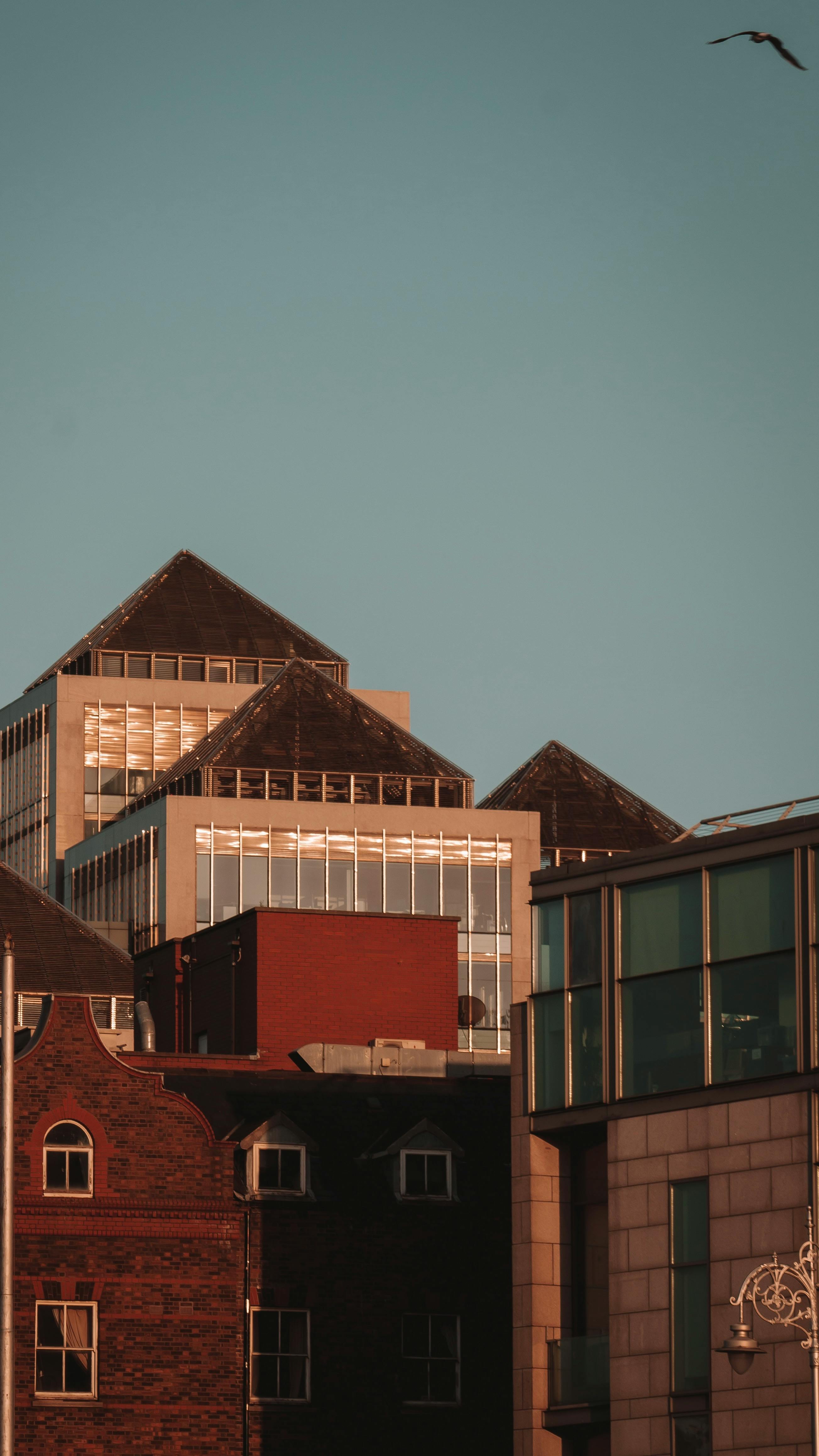 Goofy House Photos, Download The BEST Free Goofy House Stock Photos ...