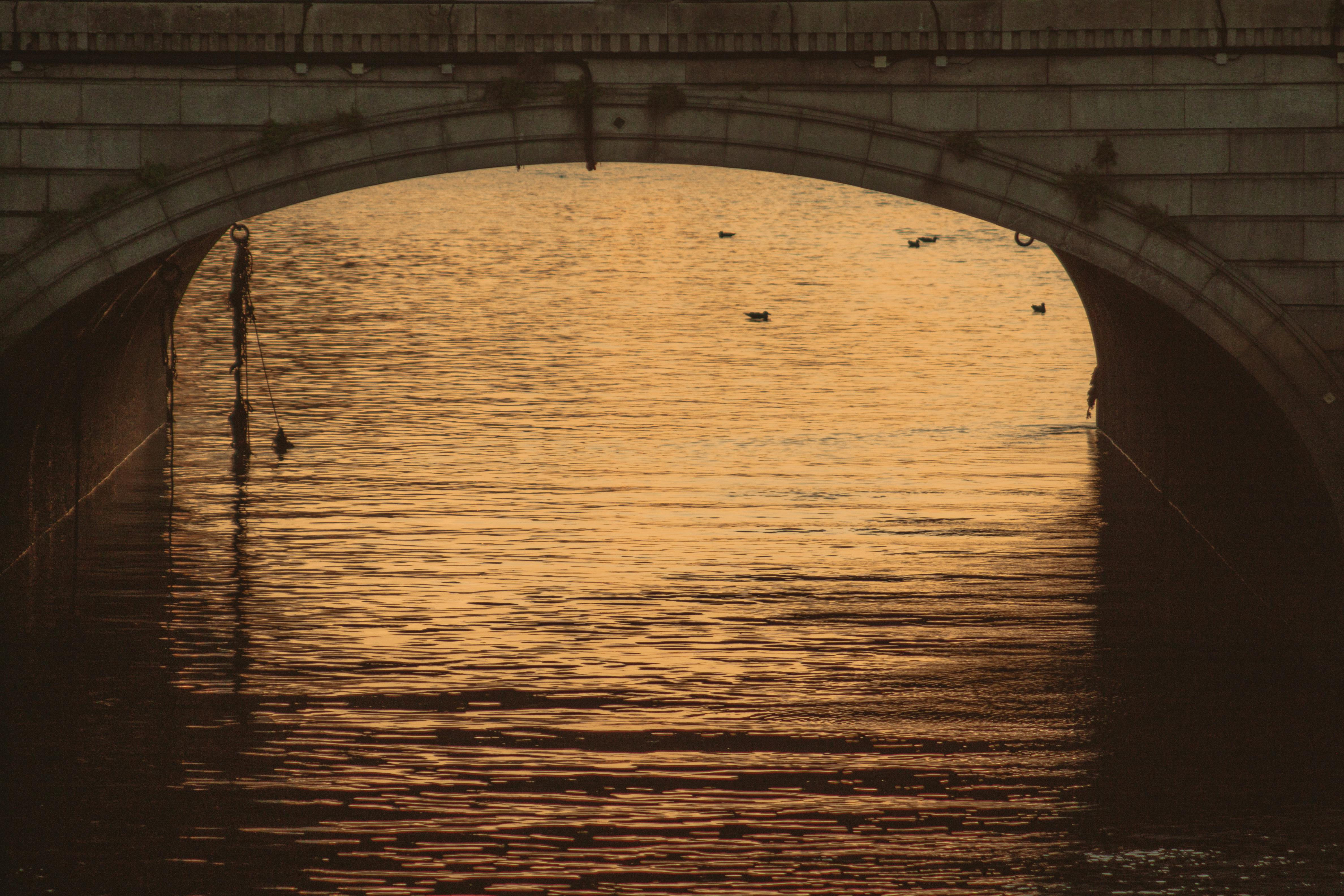 Grey Concrete Bridge Above Water Under Blue Sky · Free Stock Photo