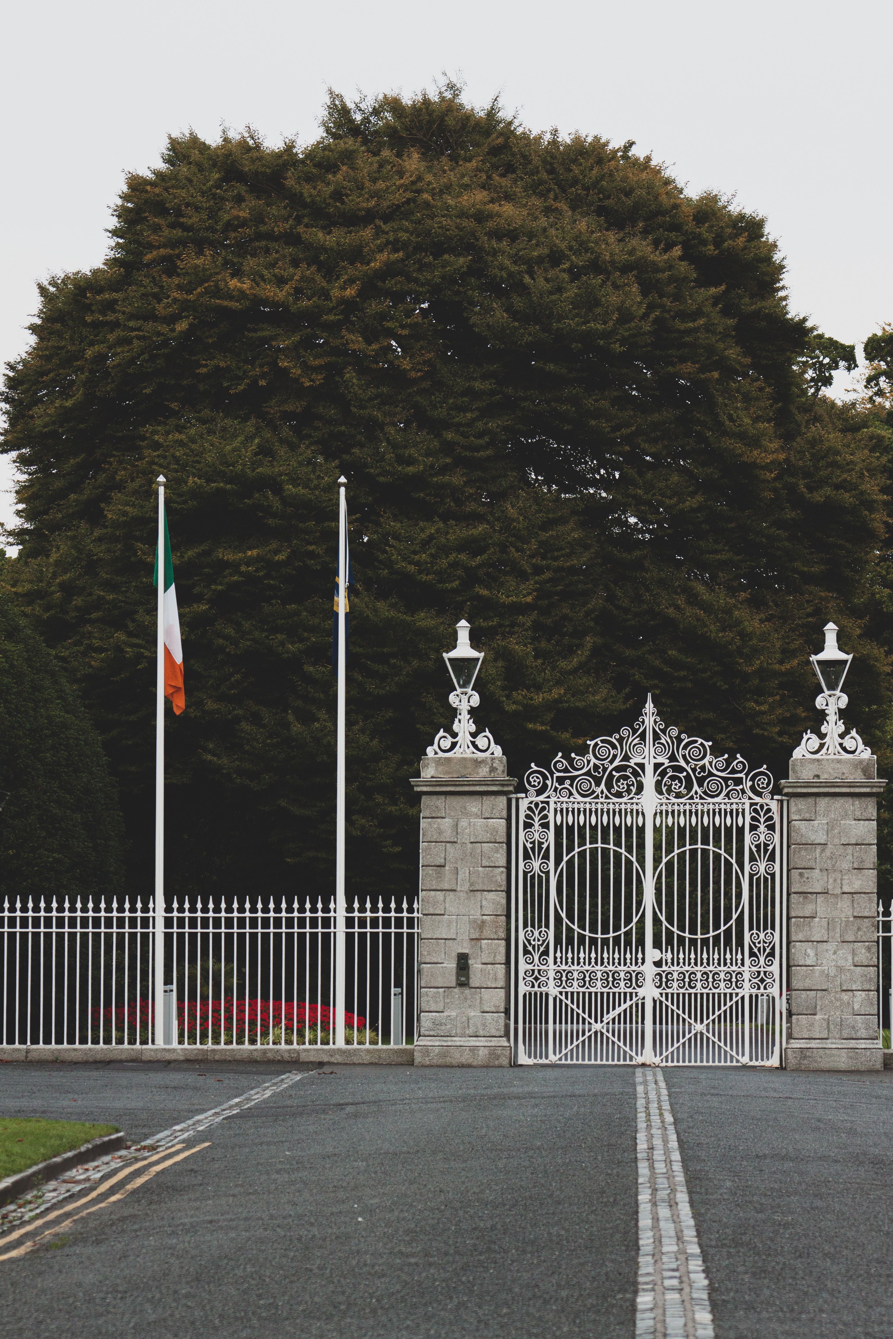 Trees behind Closed Gate · Free Stock Photo