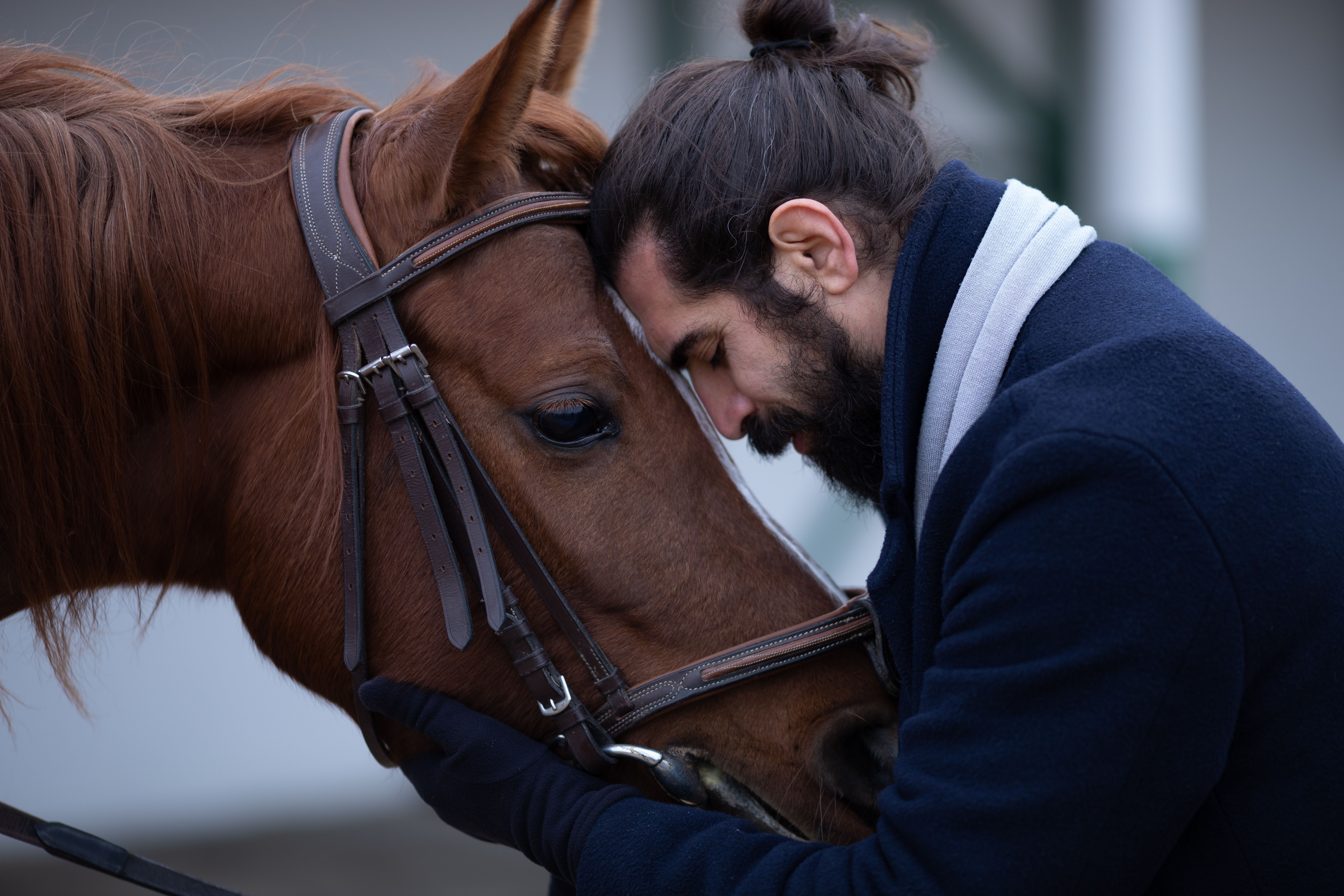 A Man Standing Head to Head with a Horse · Free Stock Photo