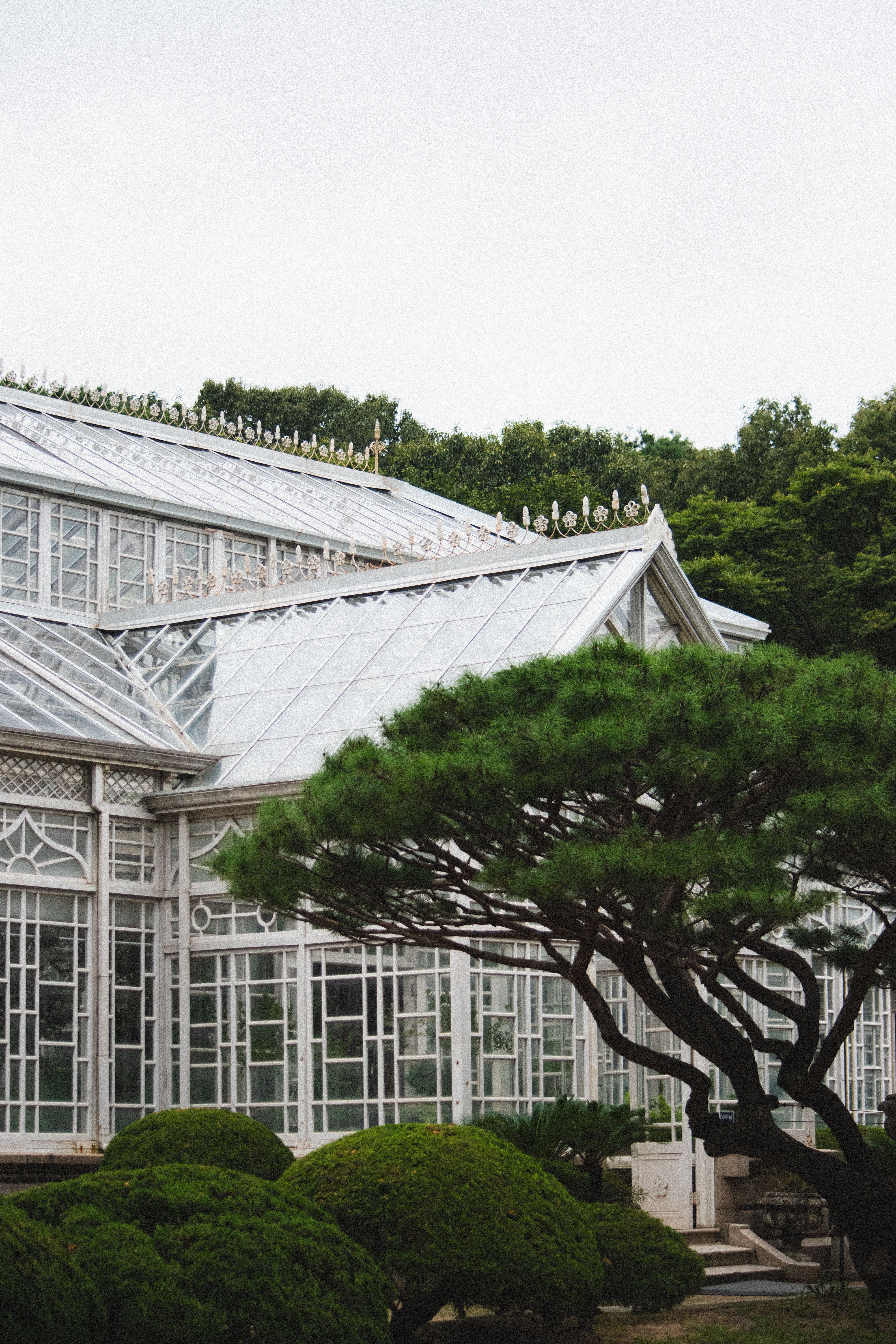 A Conservatory Surrounded by Trees · Free Stock Photo