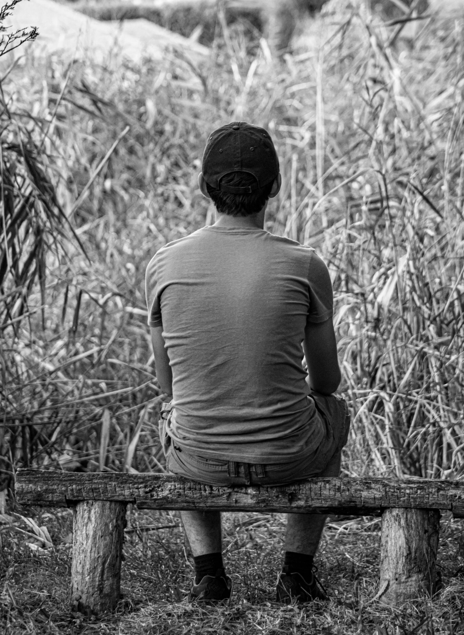 Alone Photo Photos, Download The BEST Free Alone Photo Stock Photos ...