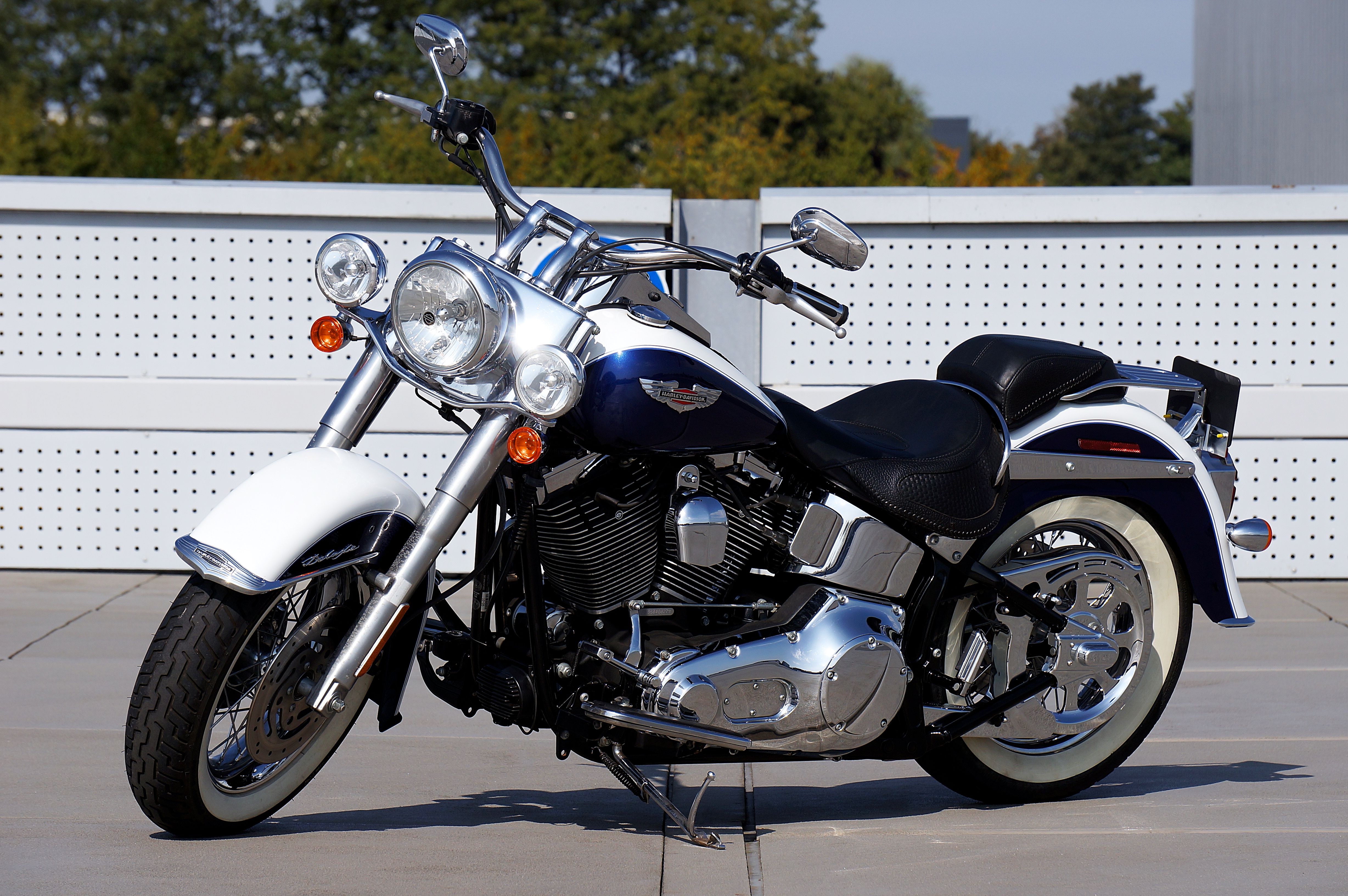 Motor Cycle Photos, Download The BEST Free Motor Cycle Stock Photos ...