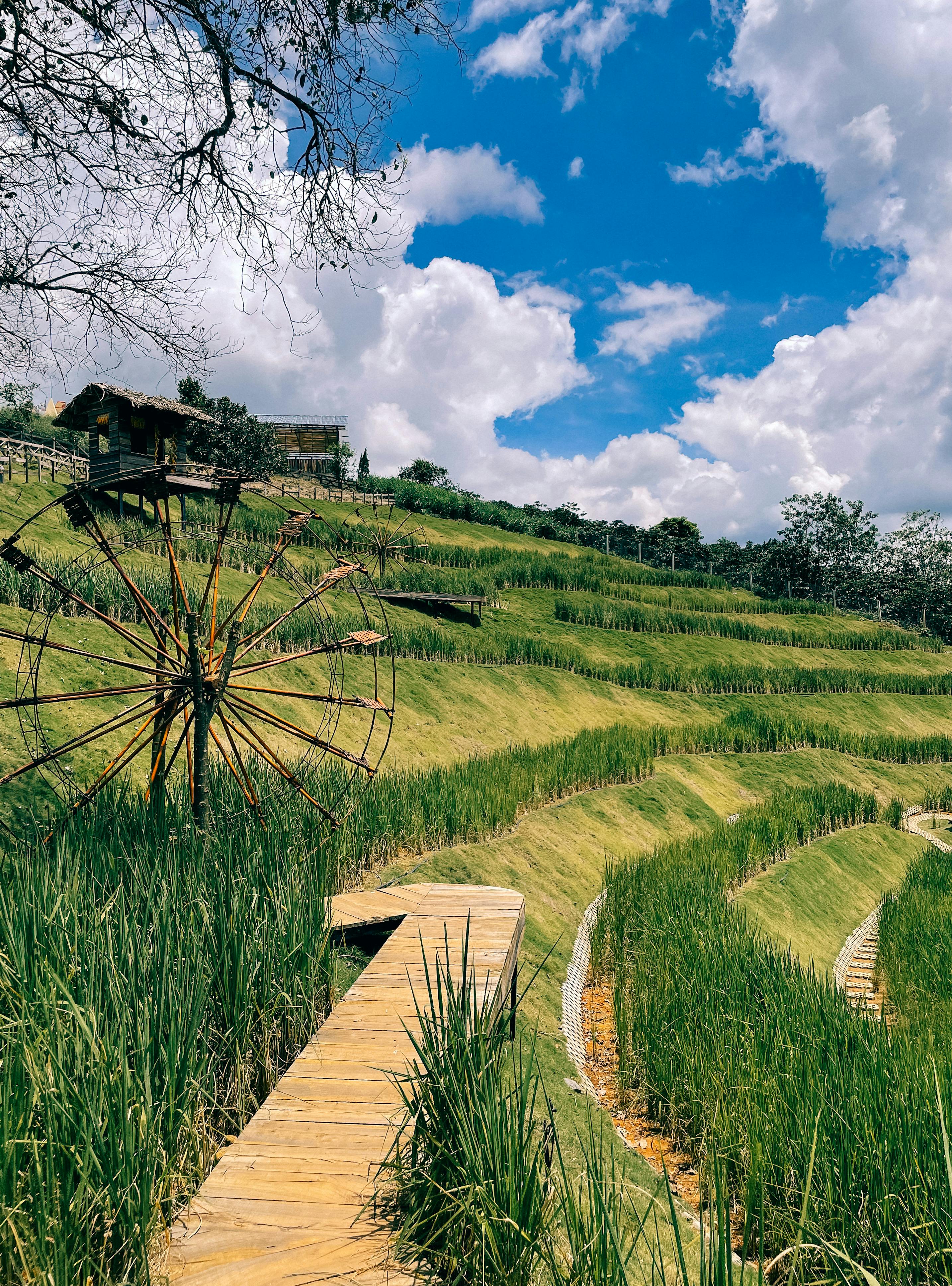 Terraced Rice Field on a Mountain Slope · Free Stock Photo