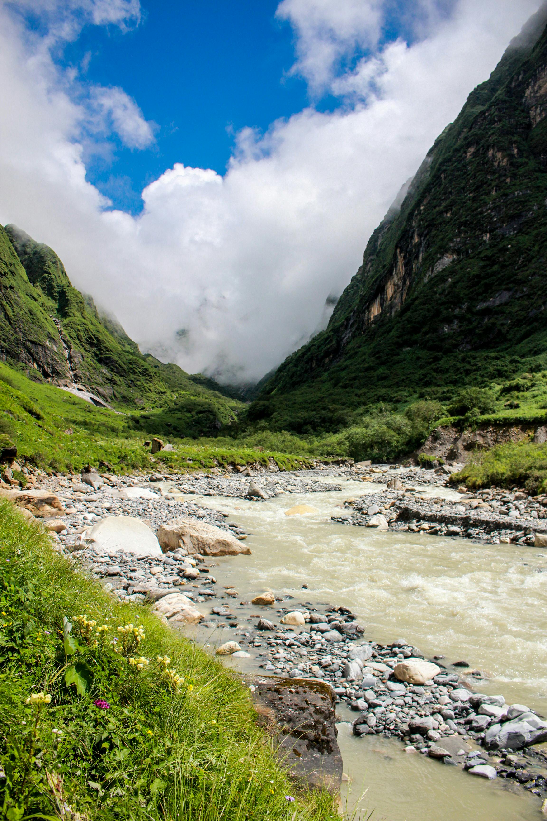 Murky Stream Flowing in a Scenic Mountain Canyon · Free Stock Photo