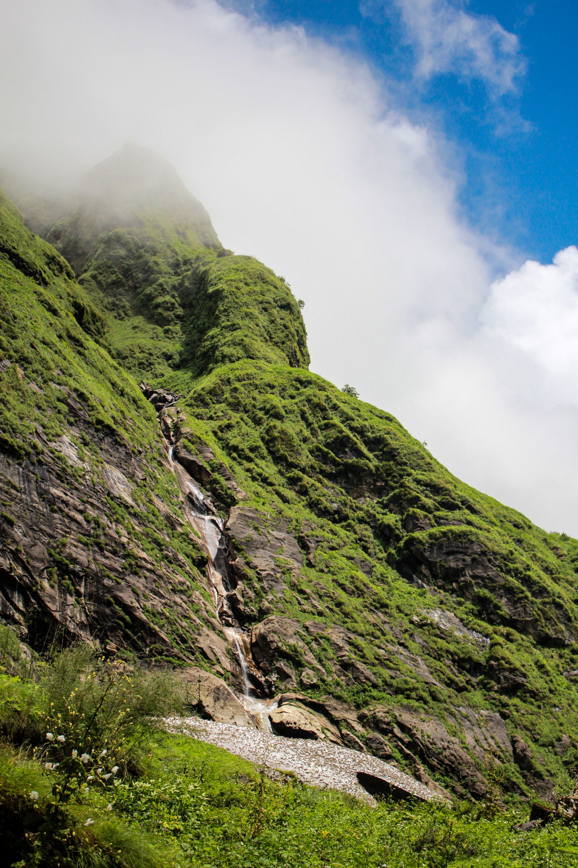 Green Mountain Side Photos, Download The BEST Free Green Mountain Side ...