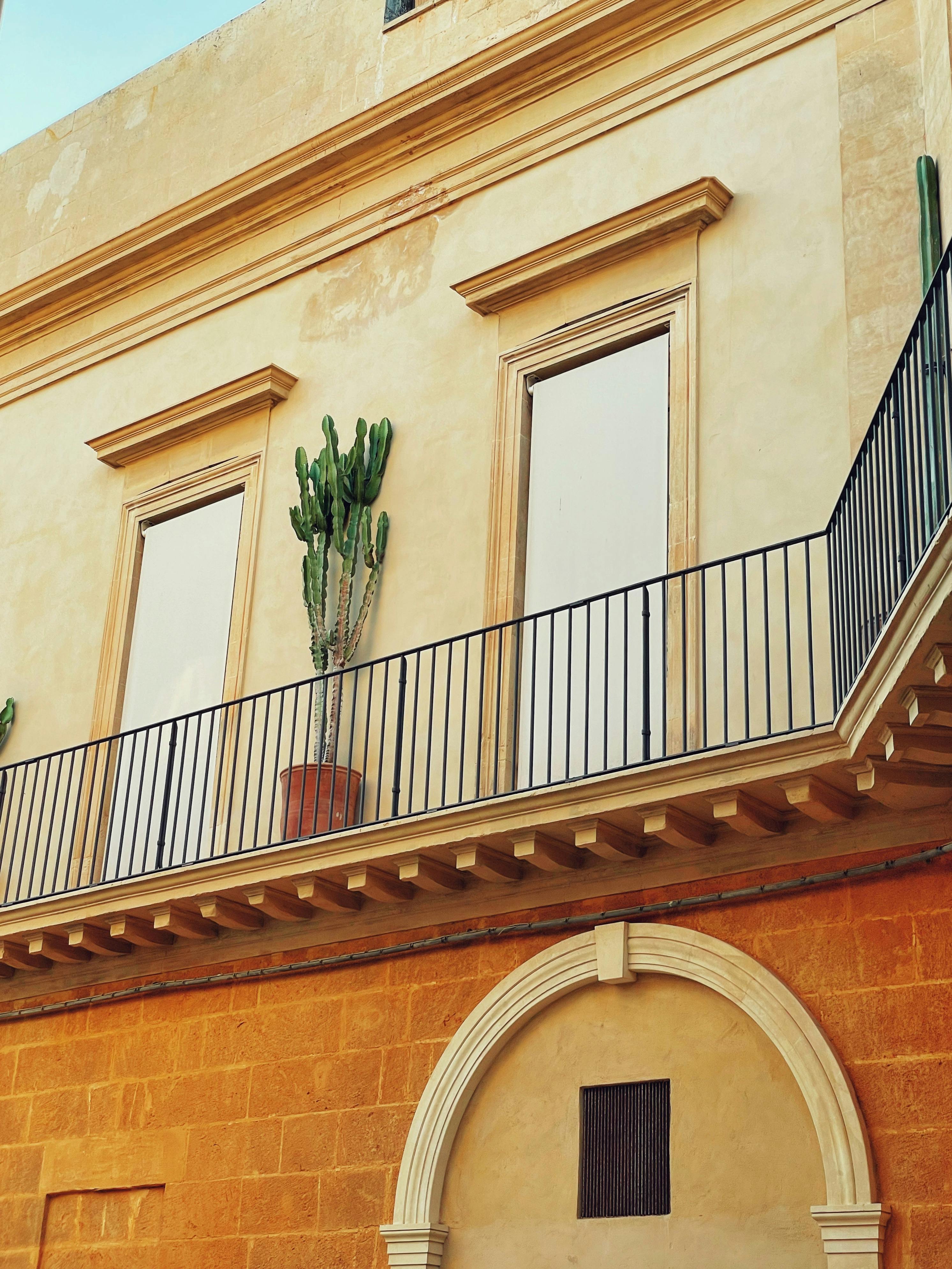 Plant Potos Photos, Download The BEST Free Plant Potos Stock Photos ...