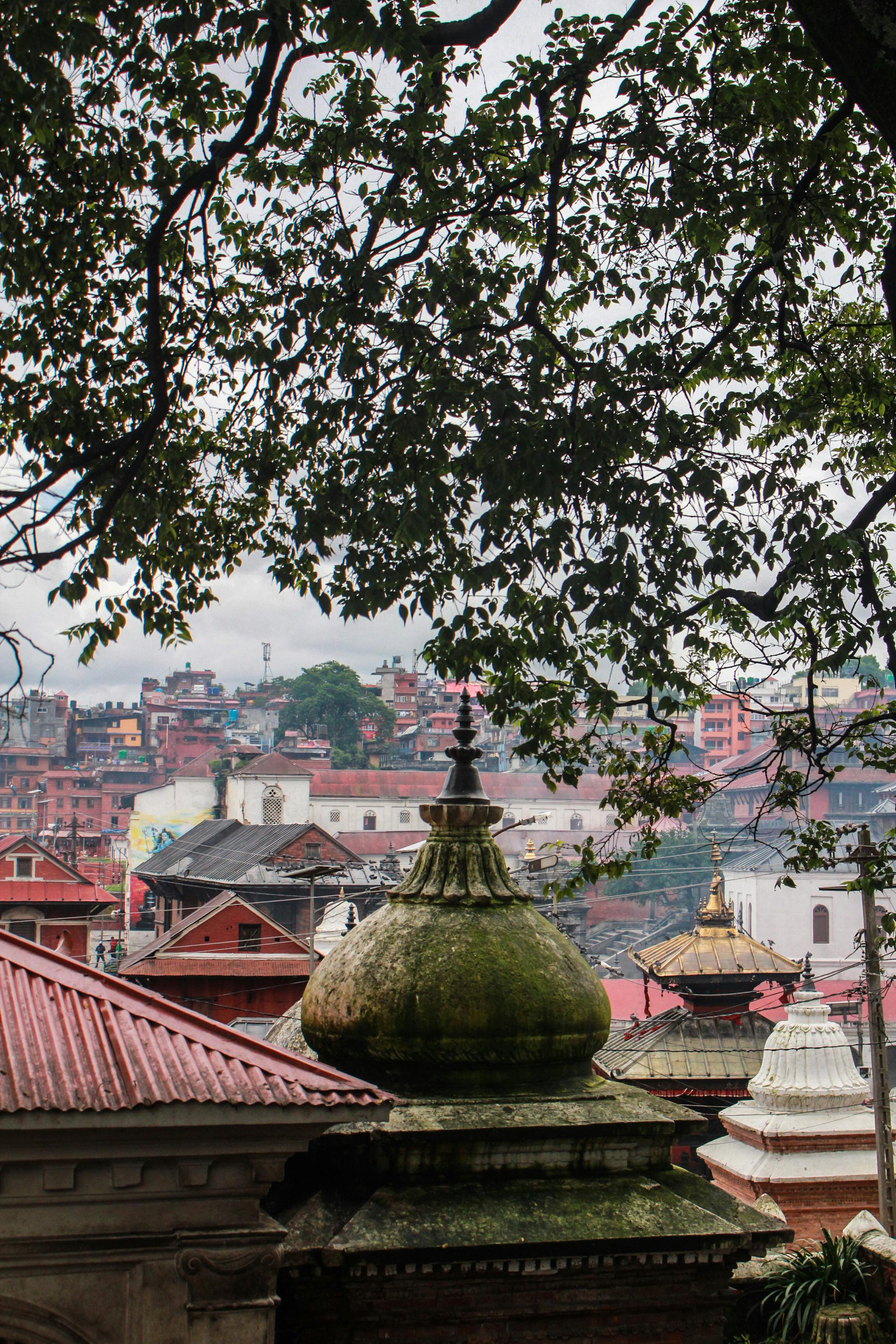 Red and Brown Temple Roofs · Free Stock Photo