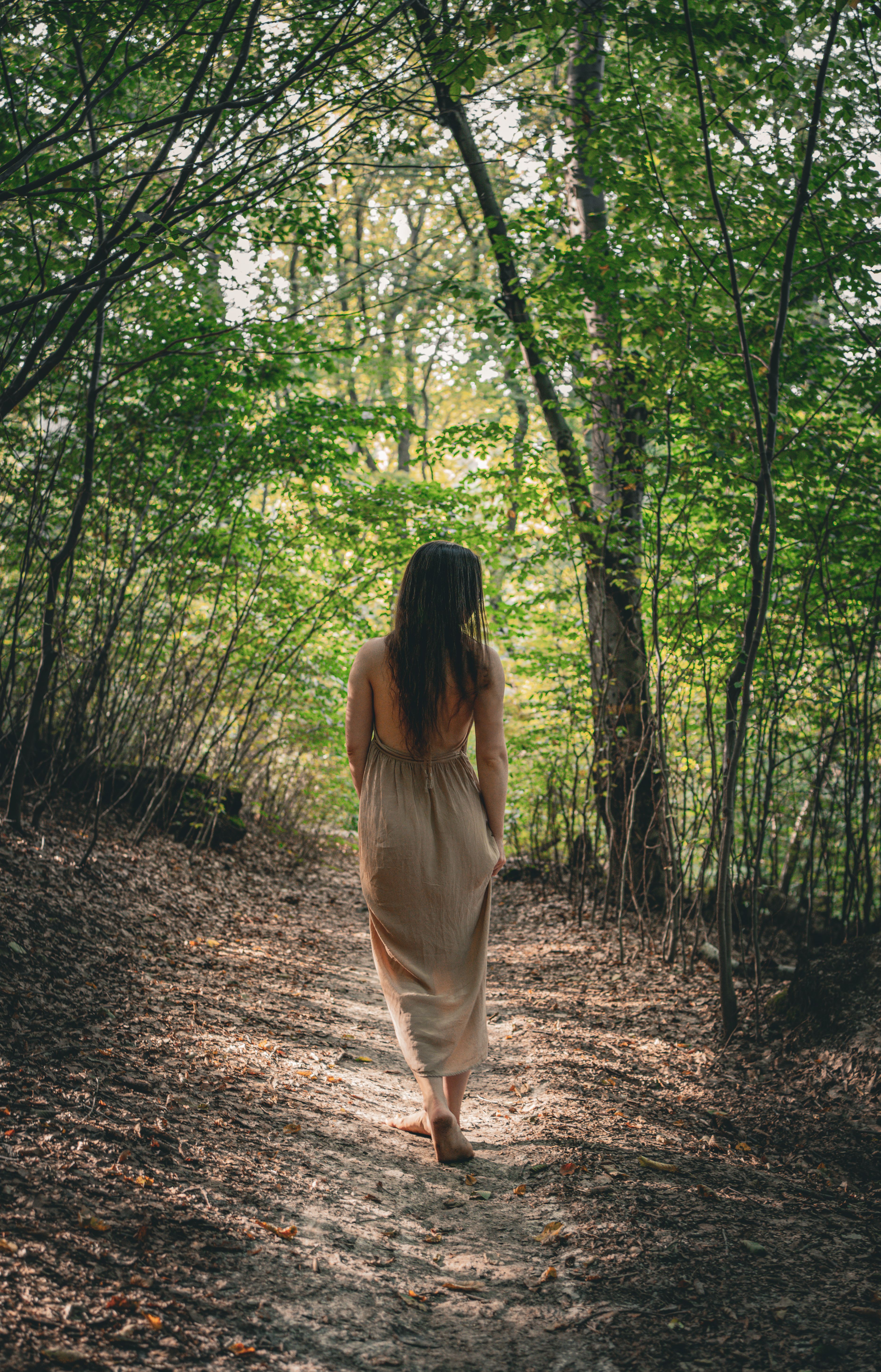 Back View of a Woman in a Forest · Free Stock Photo