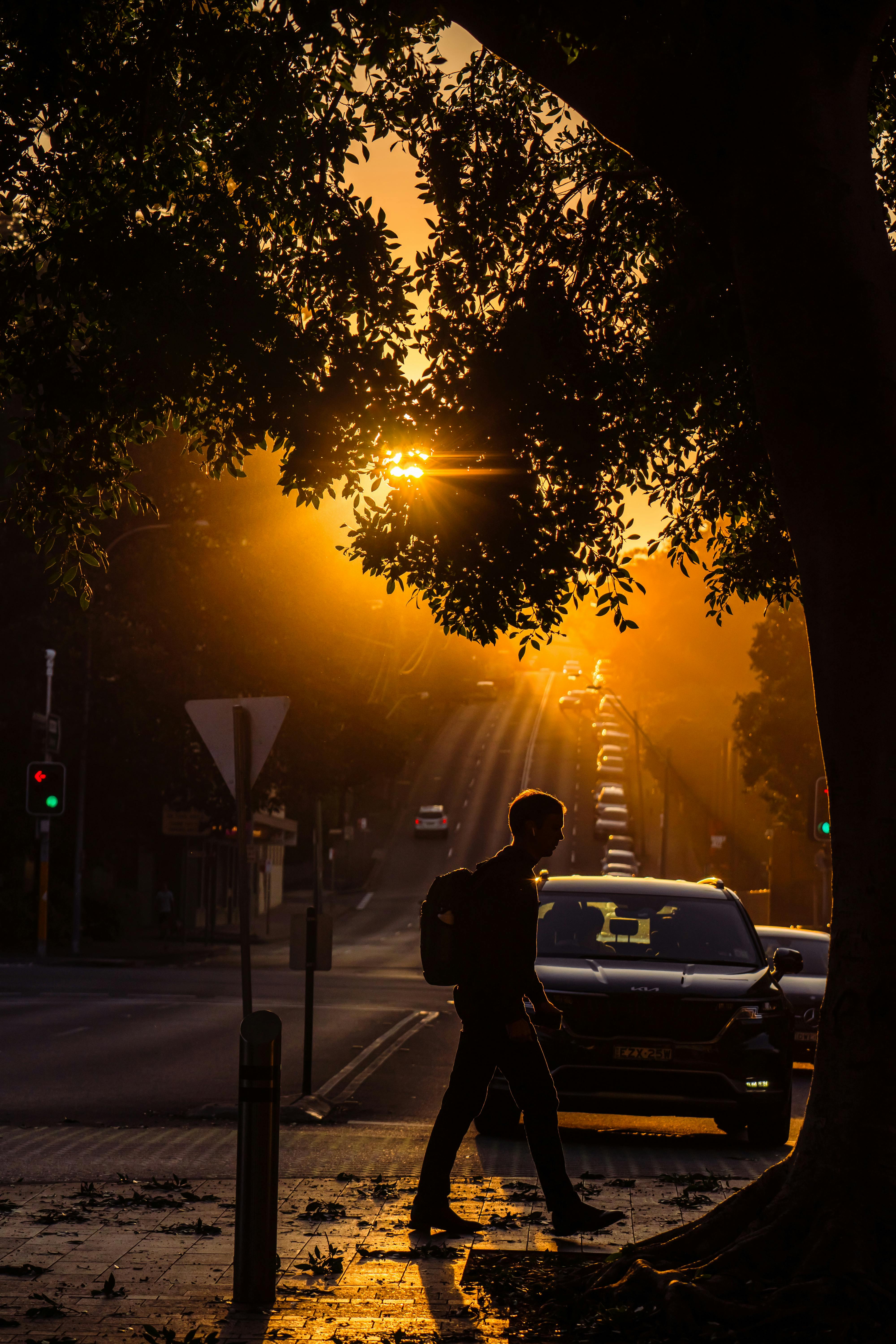 Man Walking Among Cars in Sunlight · Free Stock Photo