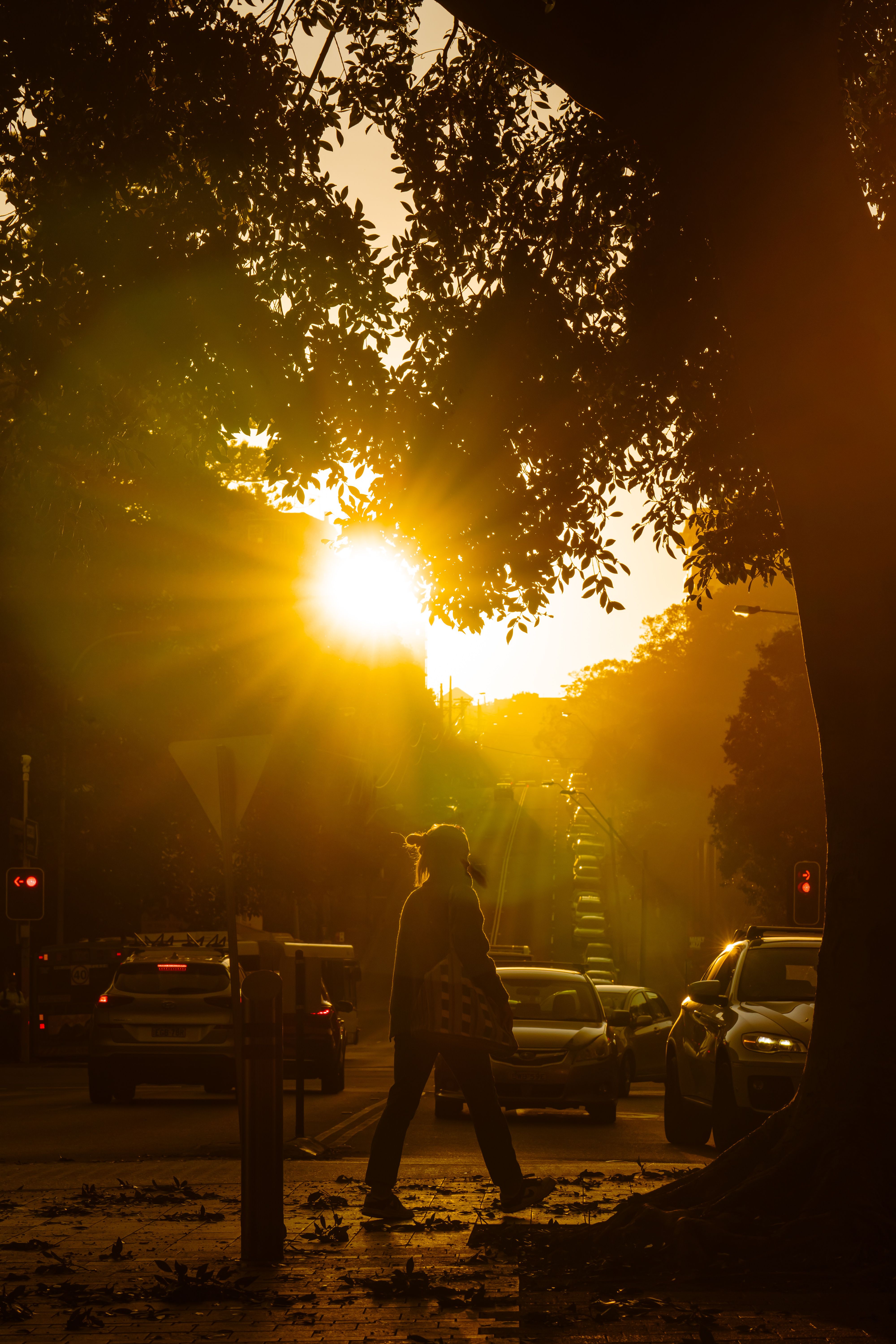 Man Walking Among Cars in Sunlight · Free Stock Photo